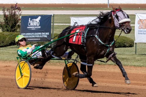 Woodbine Mohawk Park: King hopes surf’s up in NA Cup