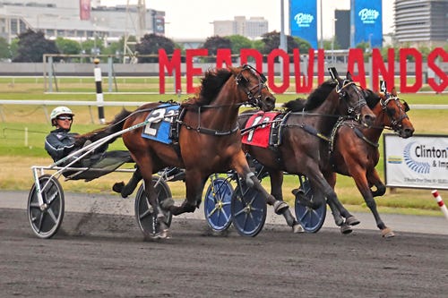 Meadowlands: First group of baby races in the books