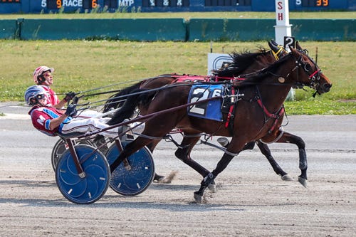 Buffalo: NY Sire Stakes season begins for rookie pacing fillies
