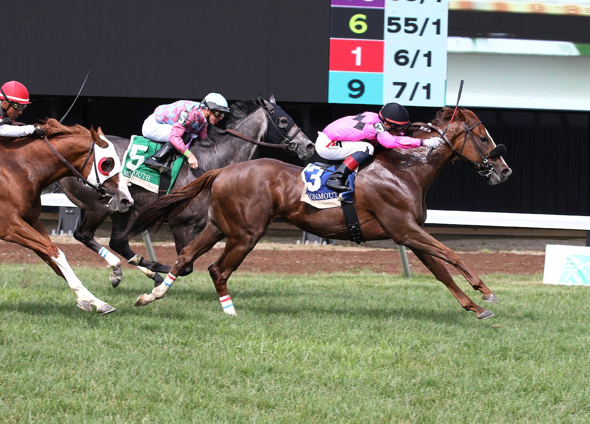 Alogon's perfect trip pays off in Wolf Hill