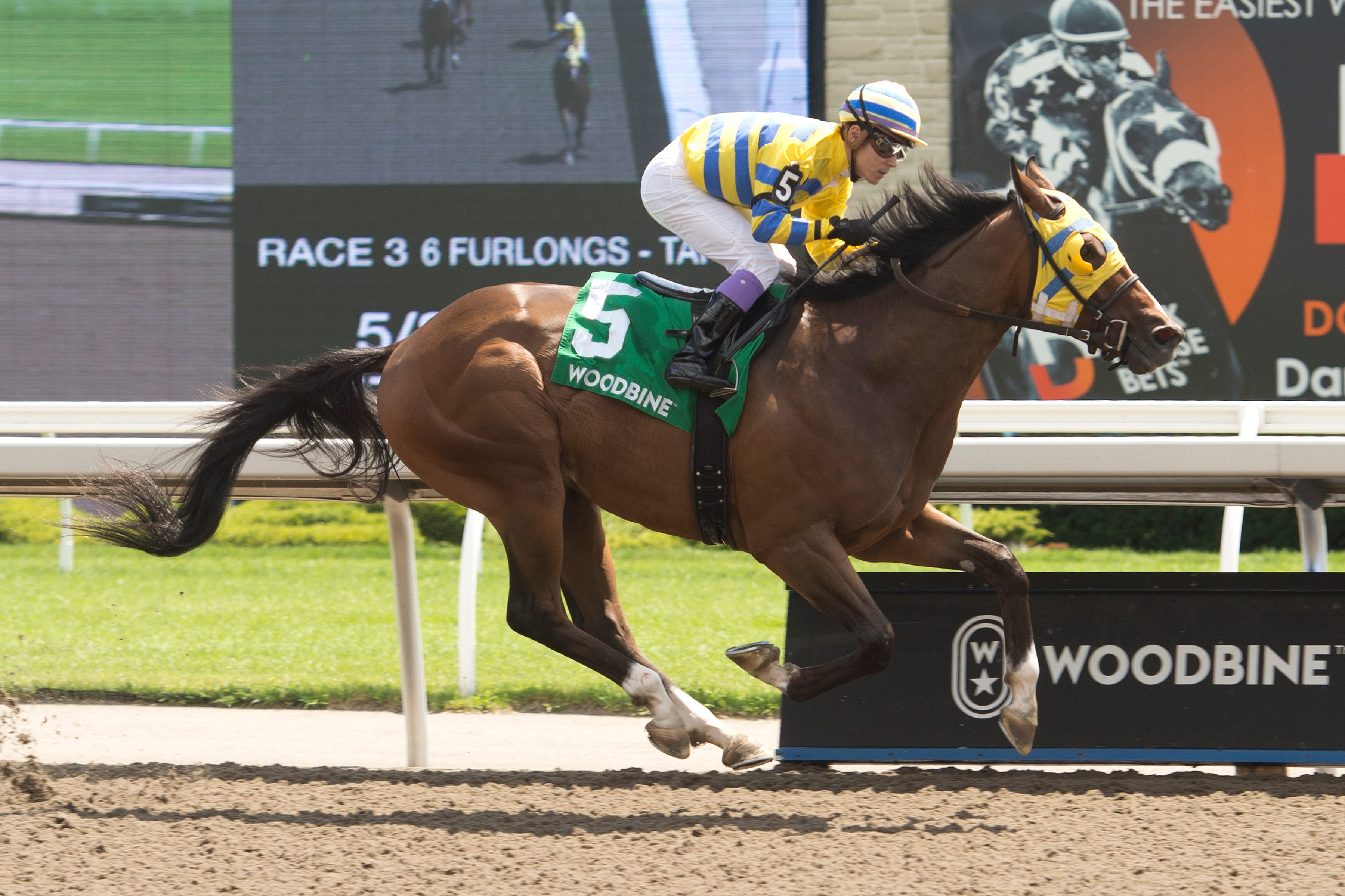 Patches O’Houlihan runs away with Lake Superior Stakes