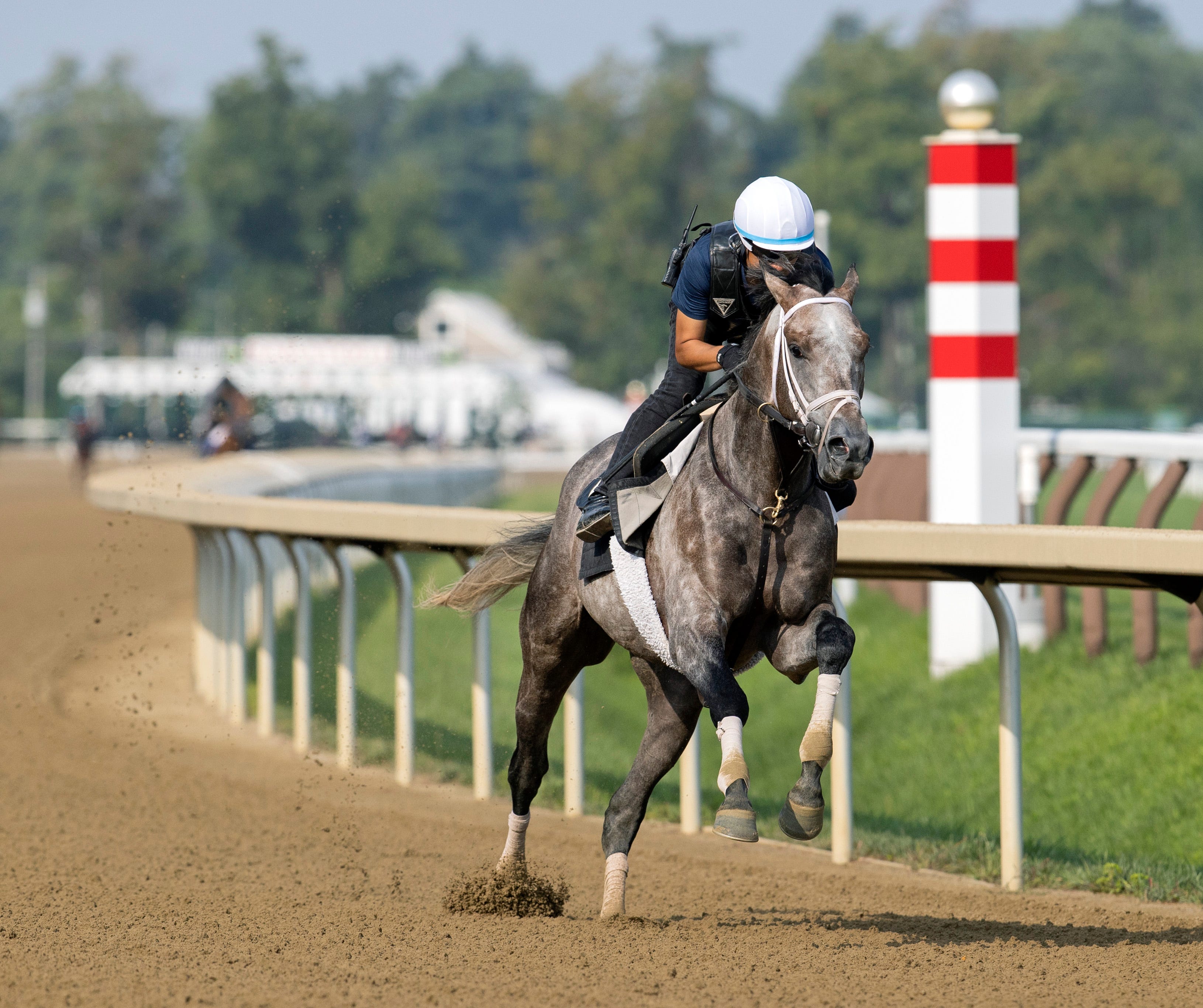 Charge It gets another chance to join the elite in Whitney