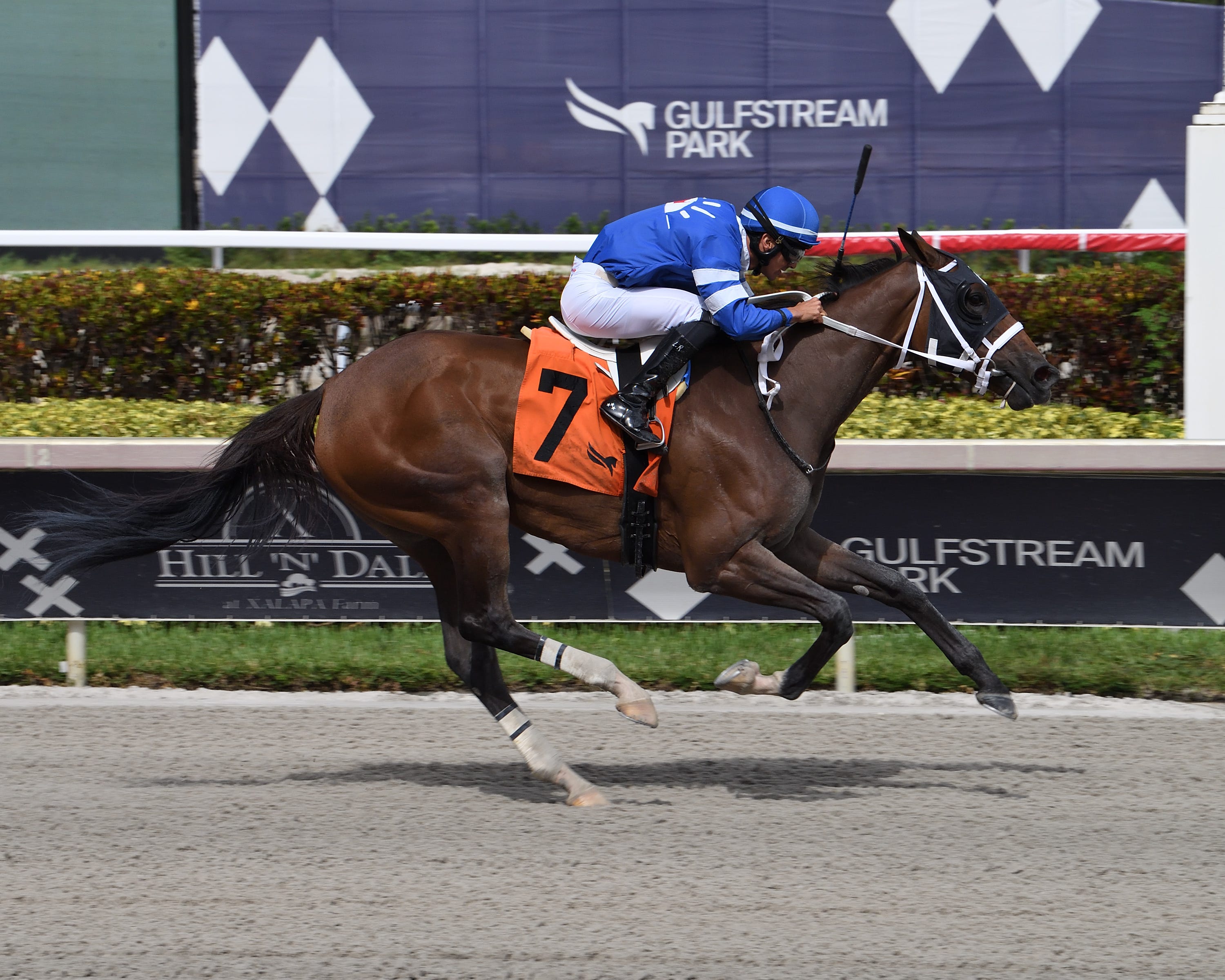 Charlie's Wish scores first stakes win in Azalea