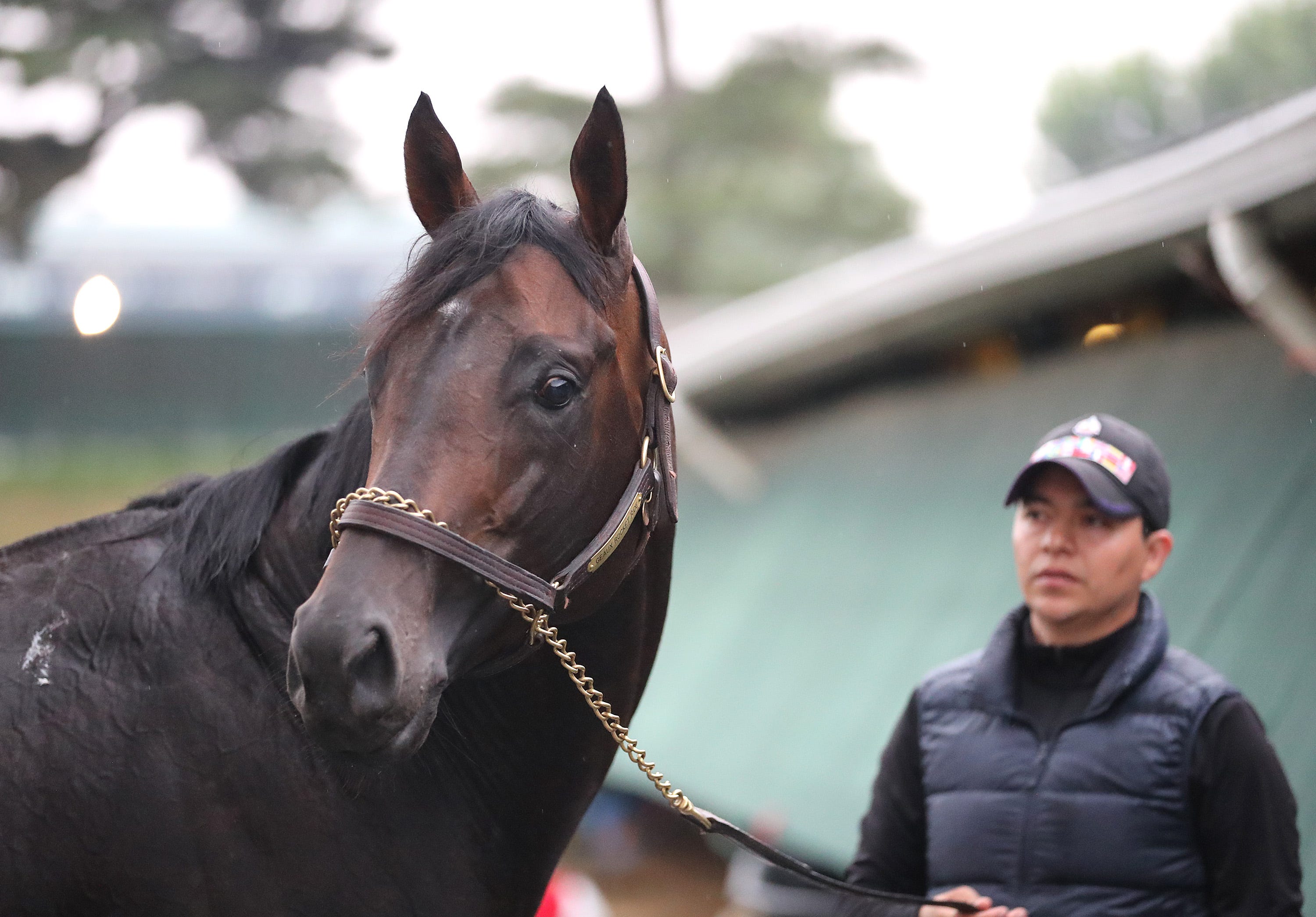 Geaux Rocket Ride works half-mile for BC Classic; Tamara likely to ...