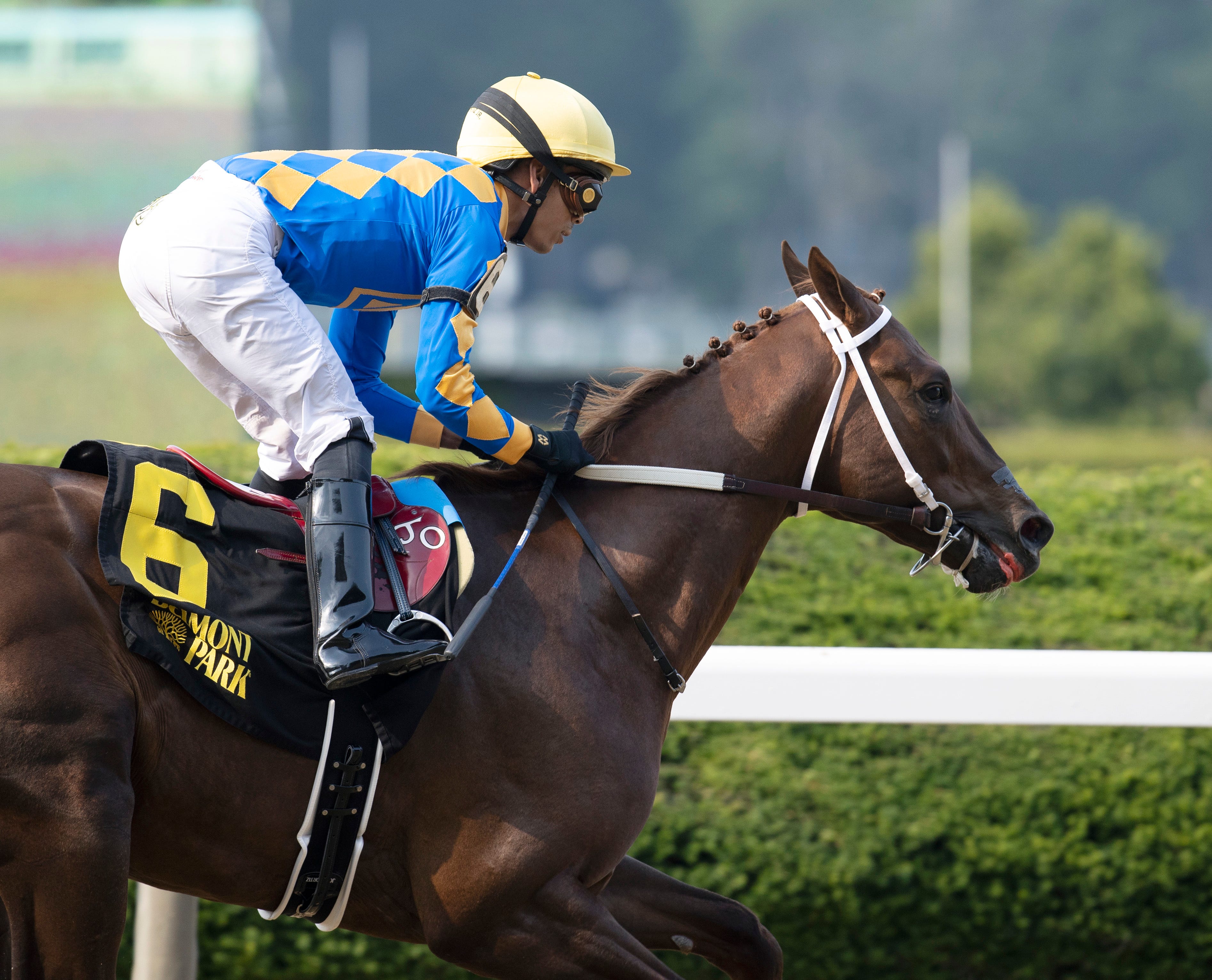 Beyers make Gold Sweep clear favorite in Sanford
