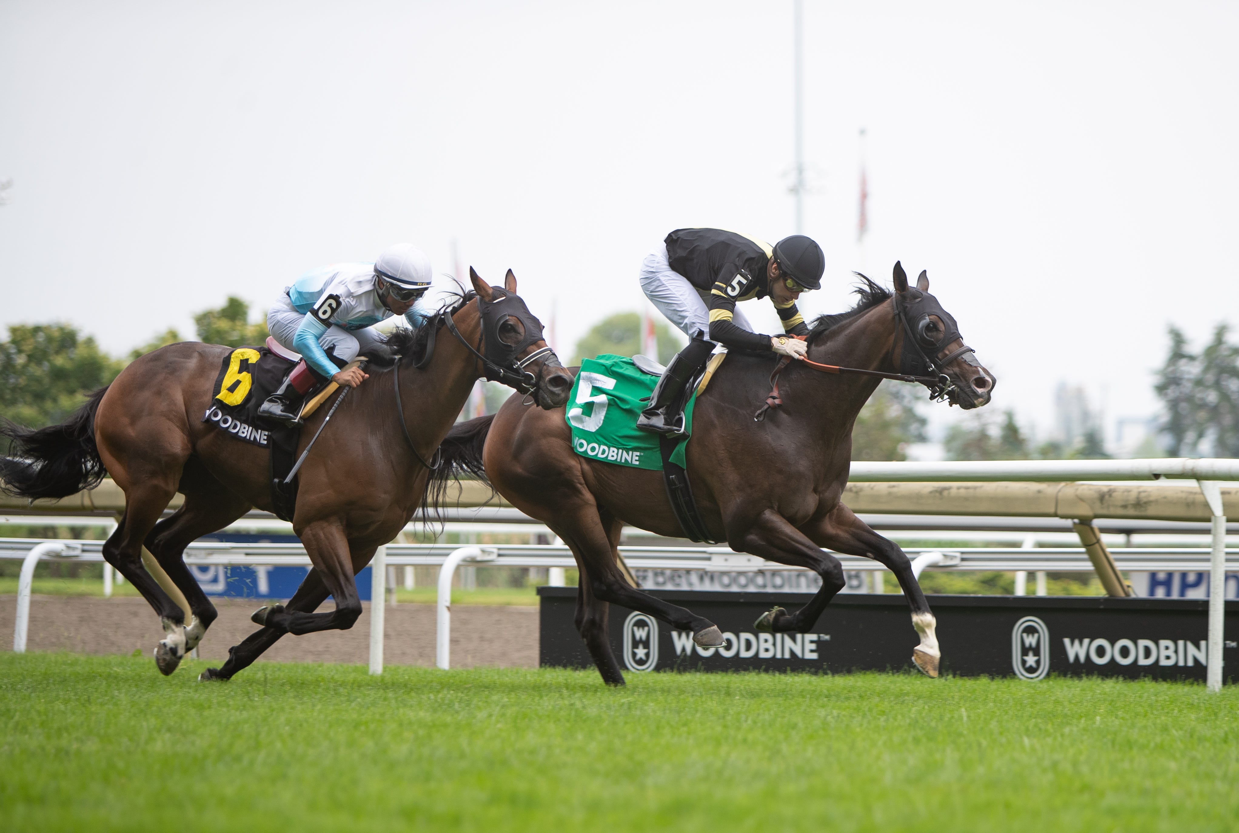 Lucky Score rallies to take Highlander