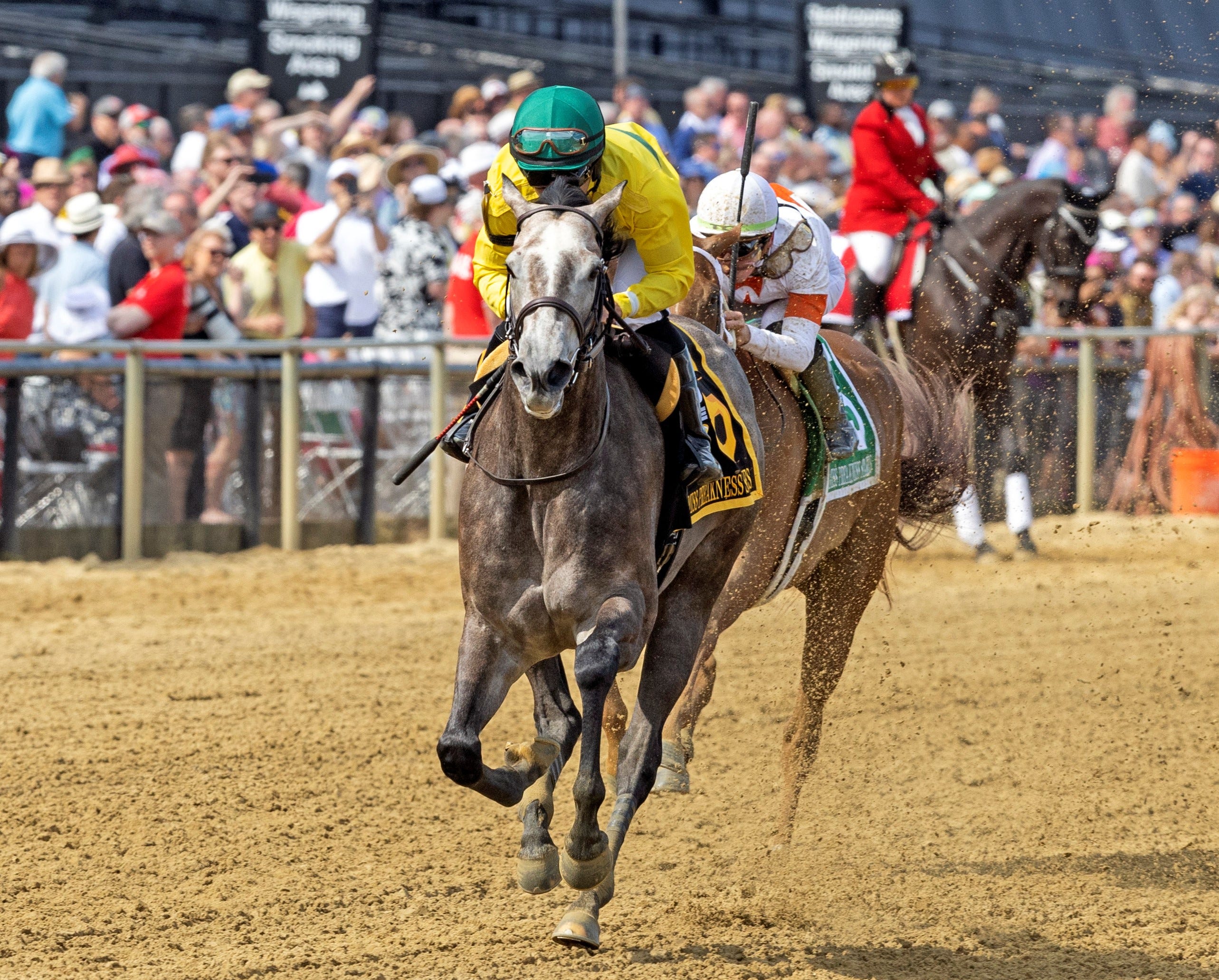 Maple Leaf Mel sitting on ready for Test Stakes