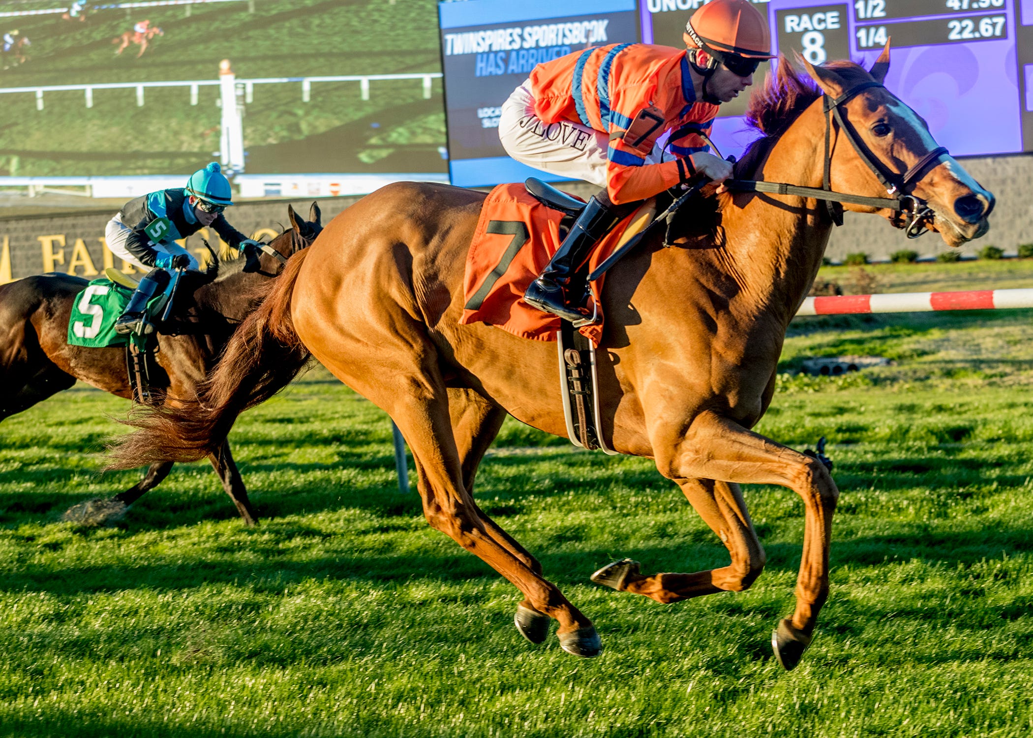 Oeuvre has to deal with shippers in Jean Elizabeth