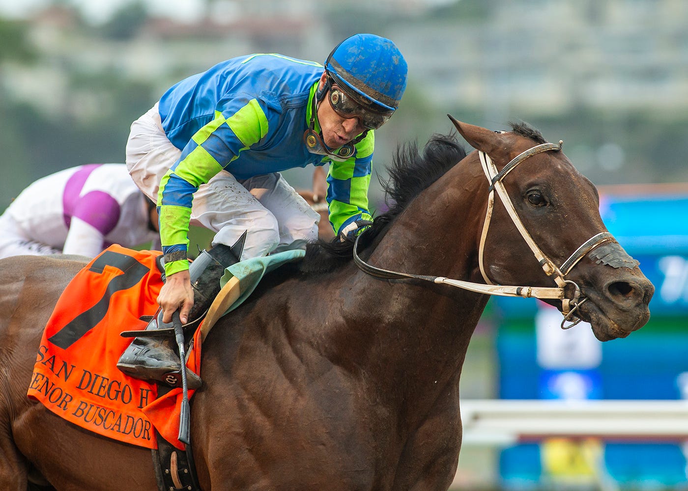 Senor Buscador appears to be fully recovered