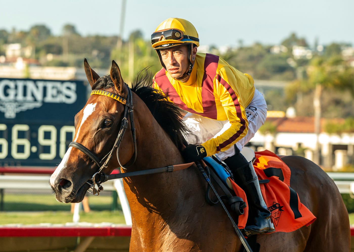 Twilight Gleaming has several speedsters to deal with in Daisycutter