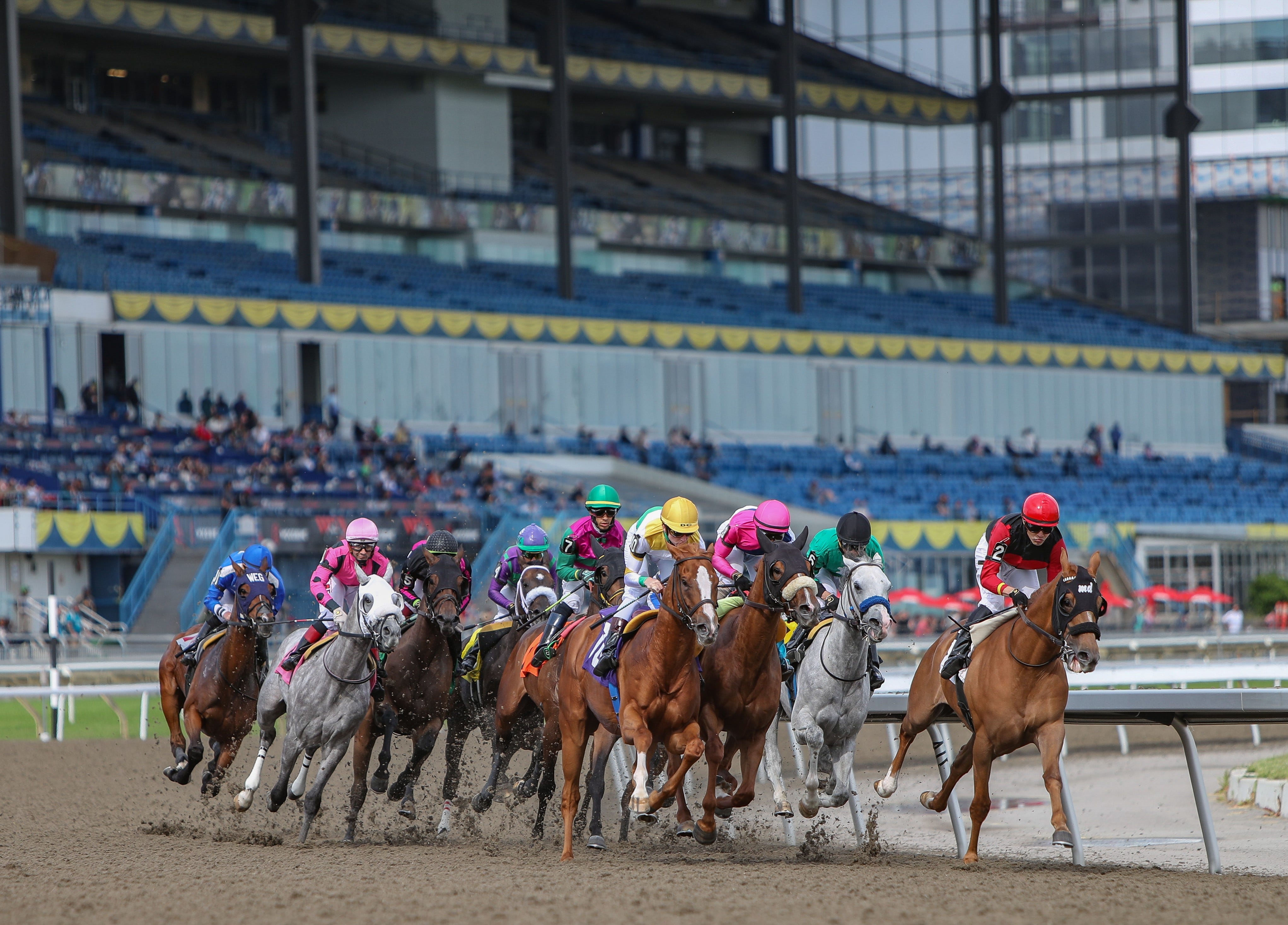 Attfield has Ready Shakespeare primed for debut