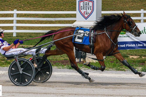 Oak Grove: Track records galore in Kentucky Sire Stakes finals