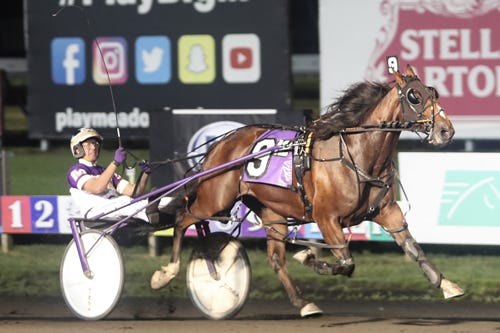 Meadowlands: Charlie May captures William R. Haughton Memorial