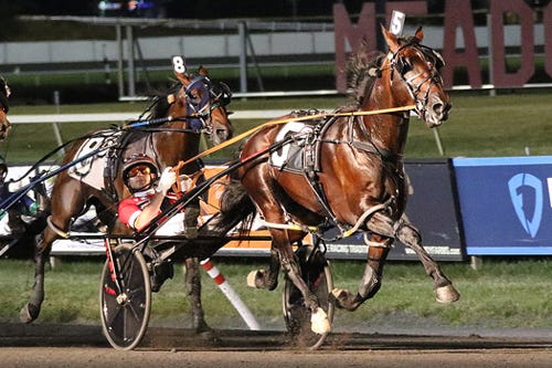 Meadowlands: Stonebridge Helios shines brightest in Graduate Pace final