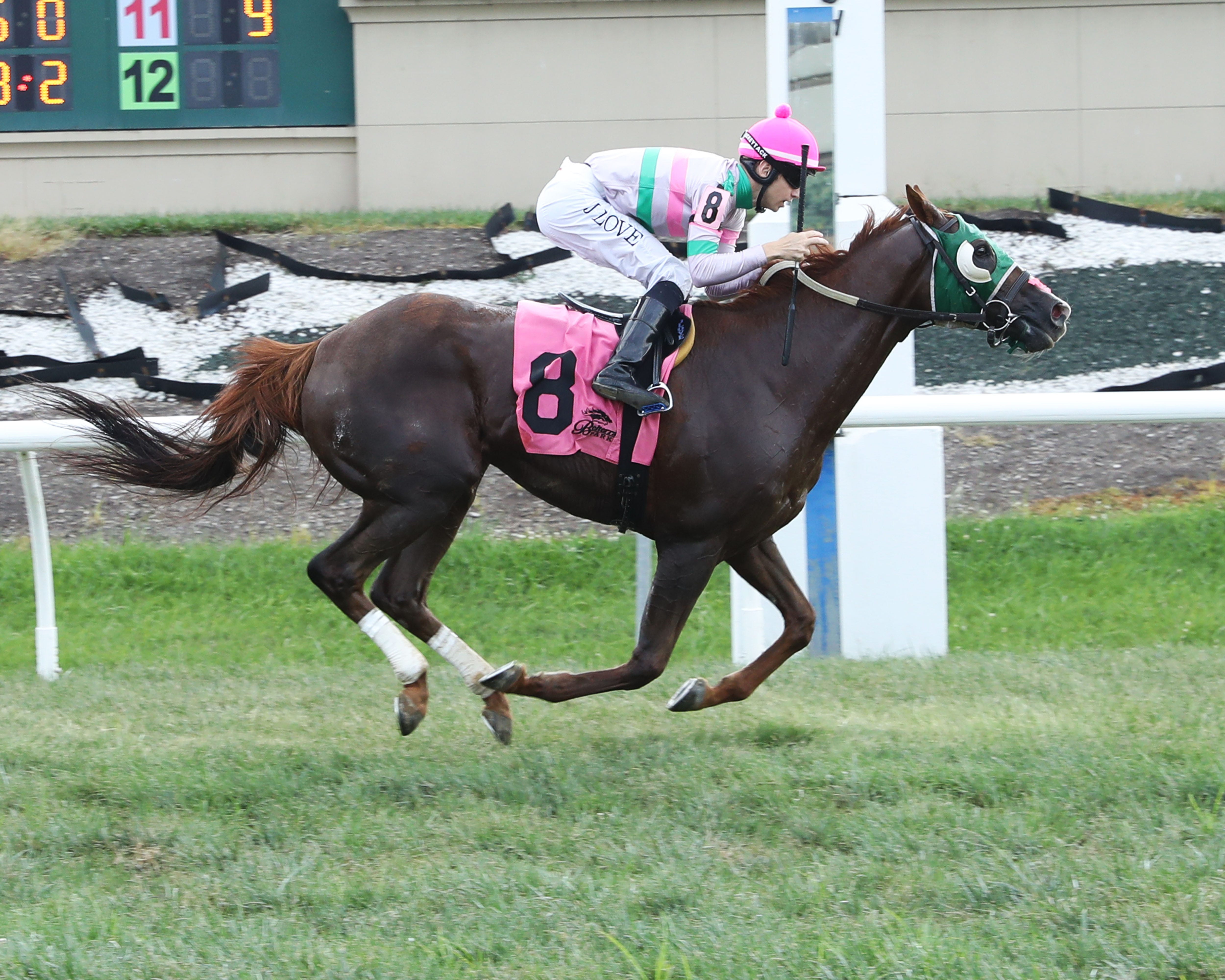Dr. Zarnett overcomes bump to take Buckeye Native