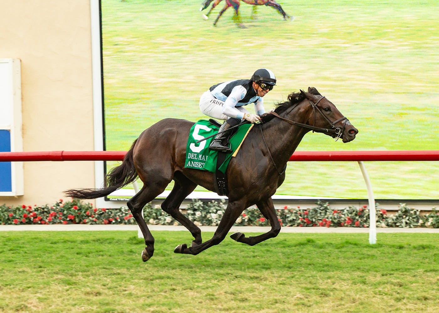 Anisette rides rail to Del Mar Oaks score