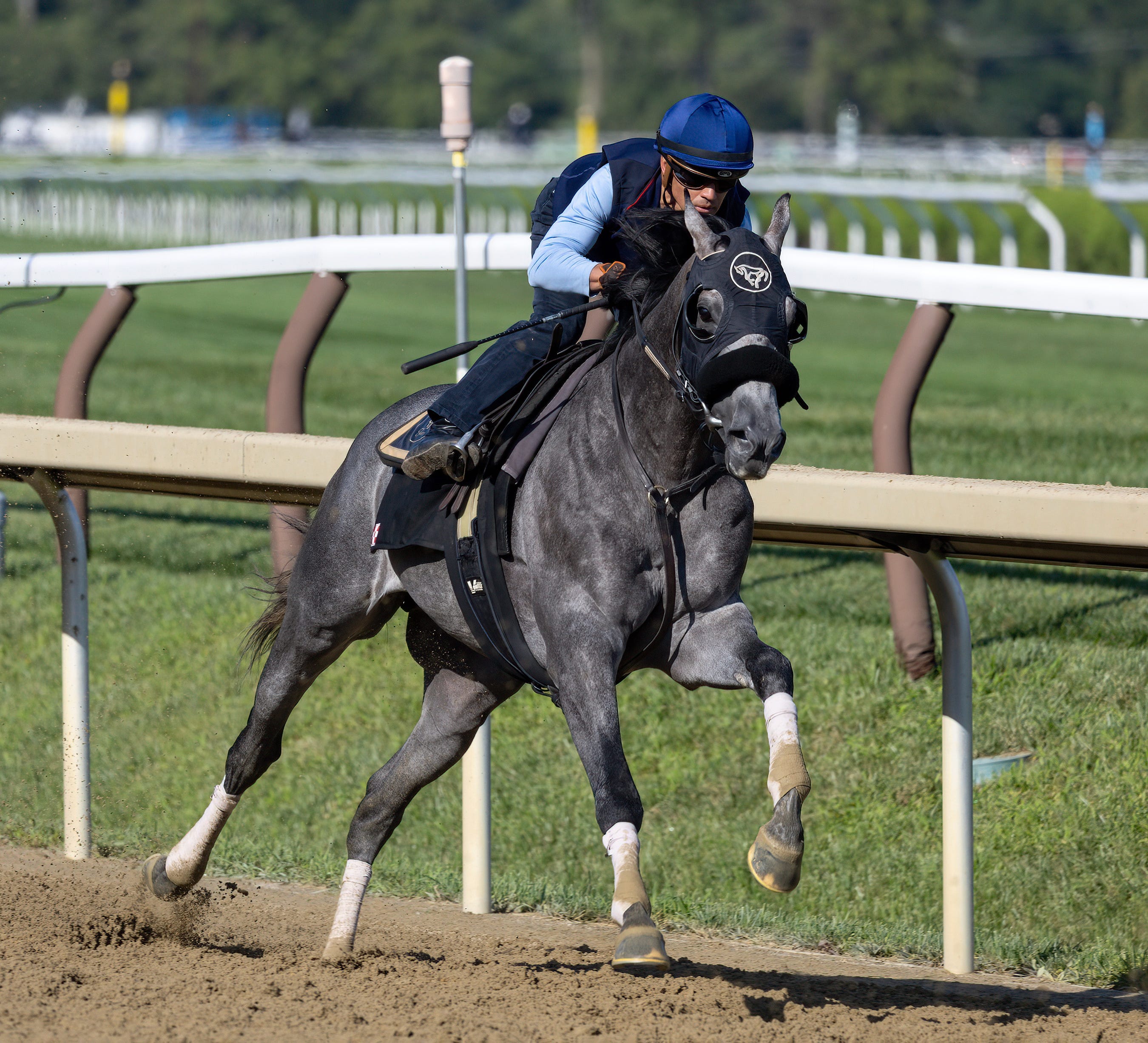 Arcangelo looks sharp in five-furlong work for Travers