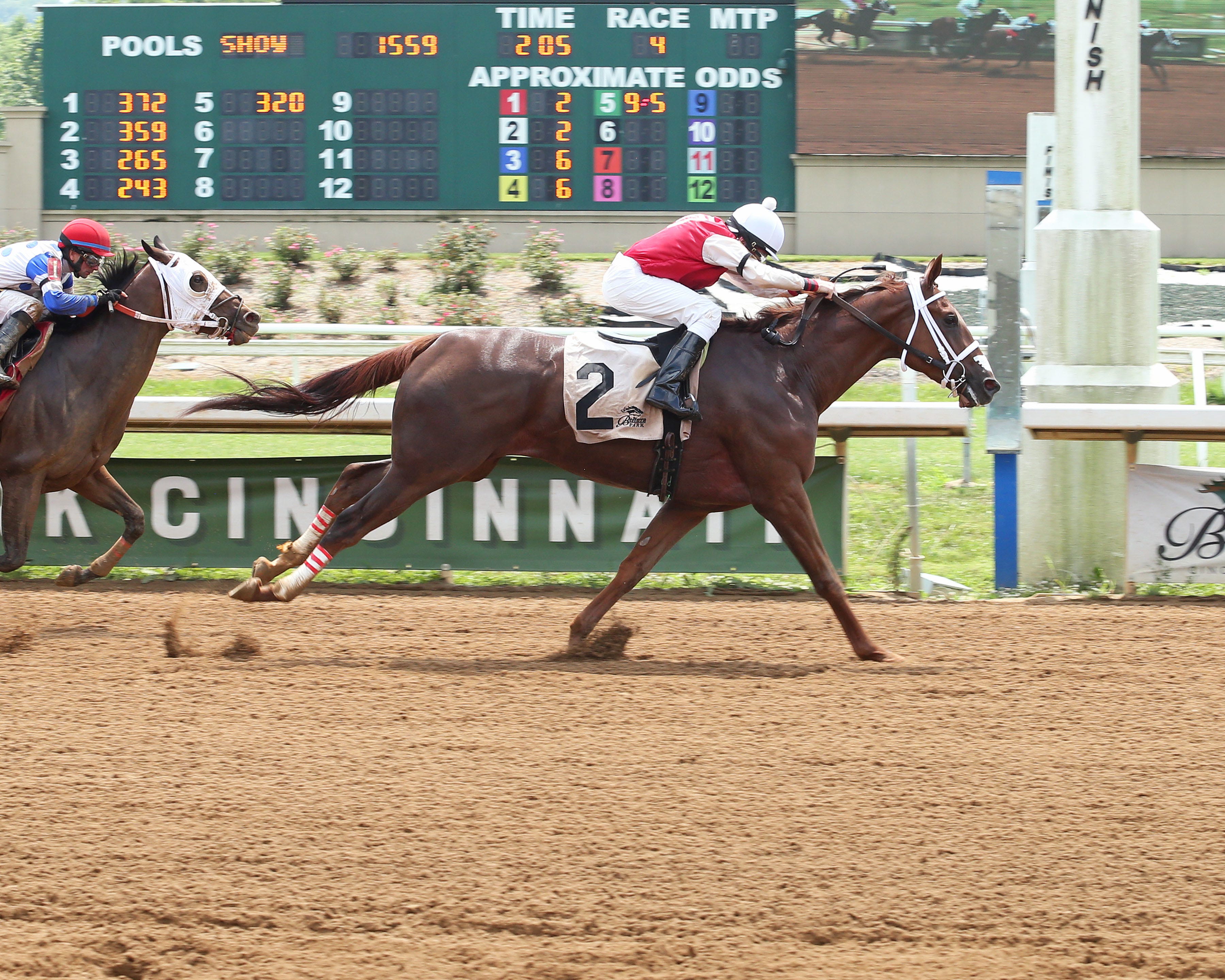 Romantic Cowboy moves to turf for Buckeye Native Stakes