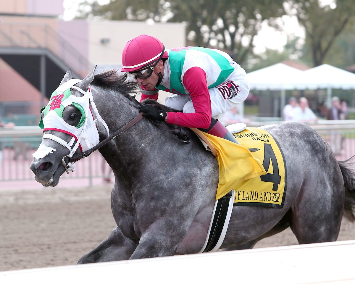 Buy Land and See has clear sailing in Storm Cat; John Servis sends out ...