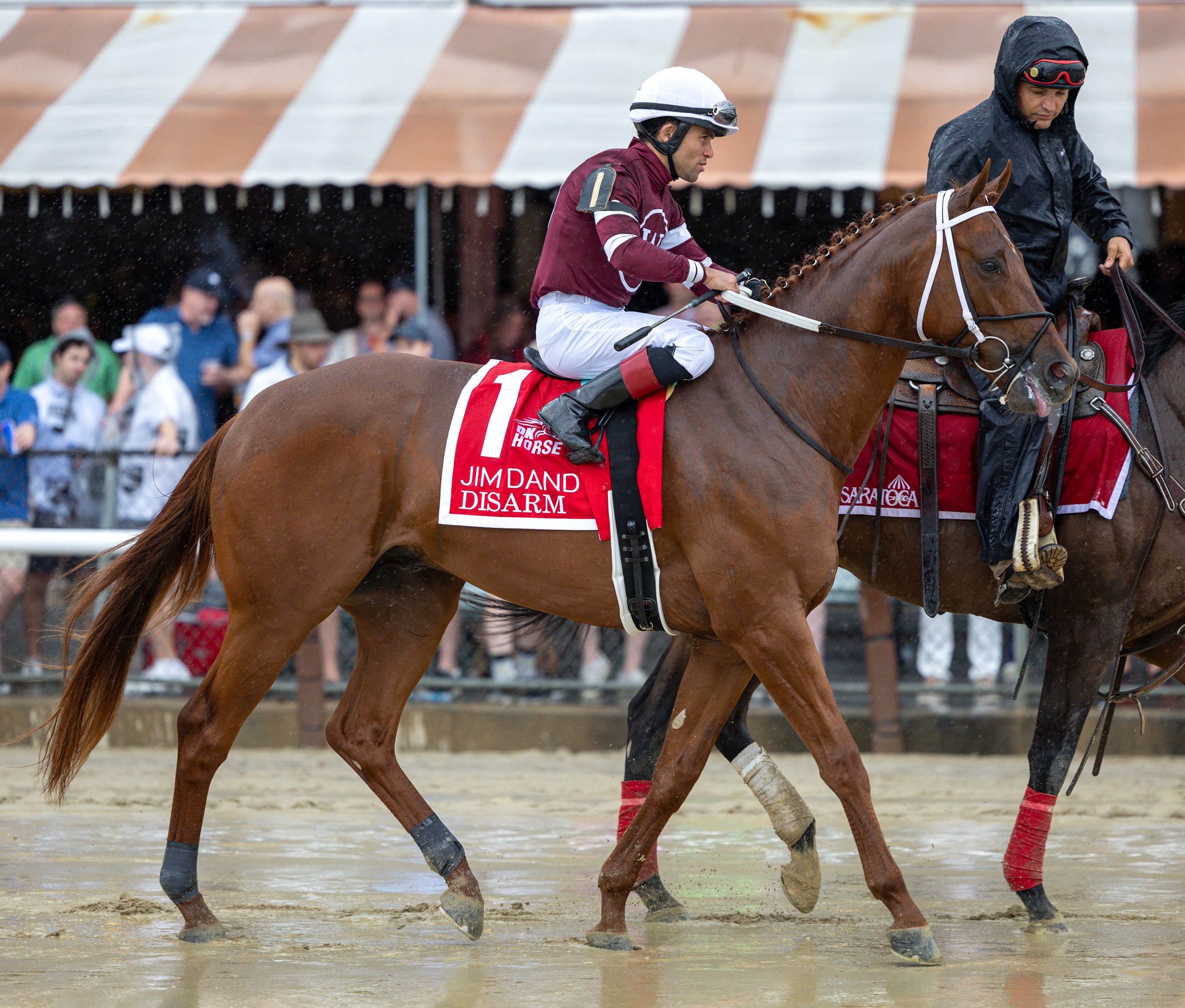 Disarm works in blinkers, will wear them in Travers