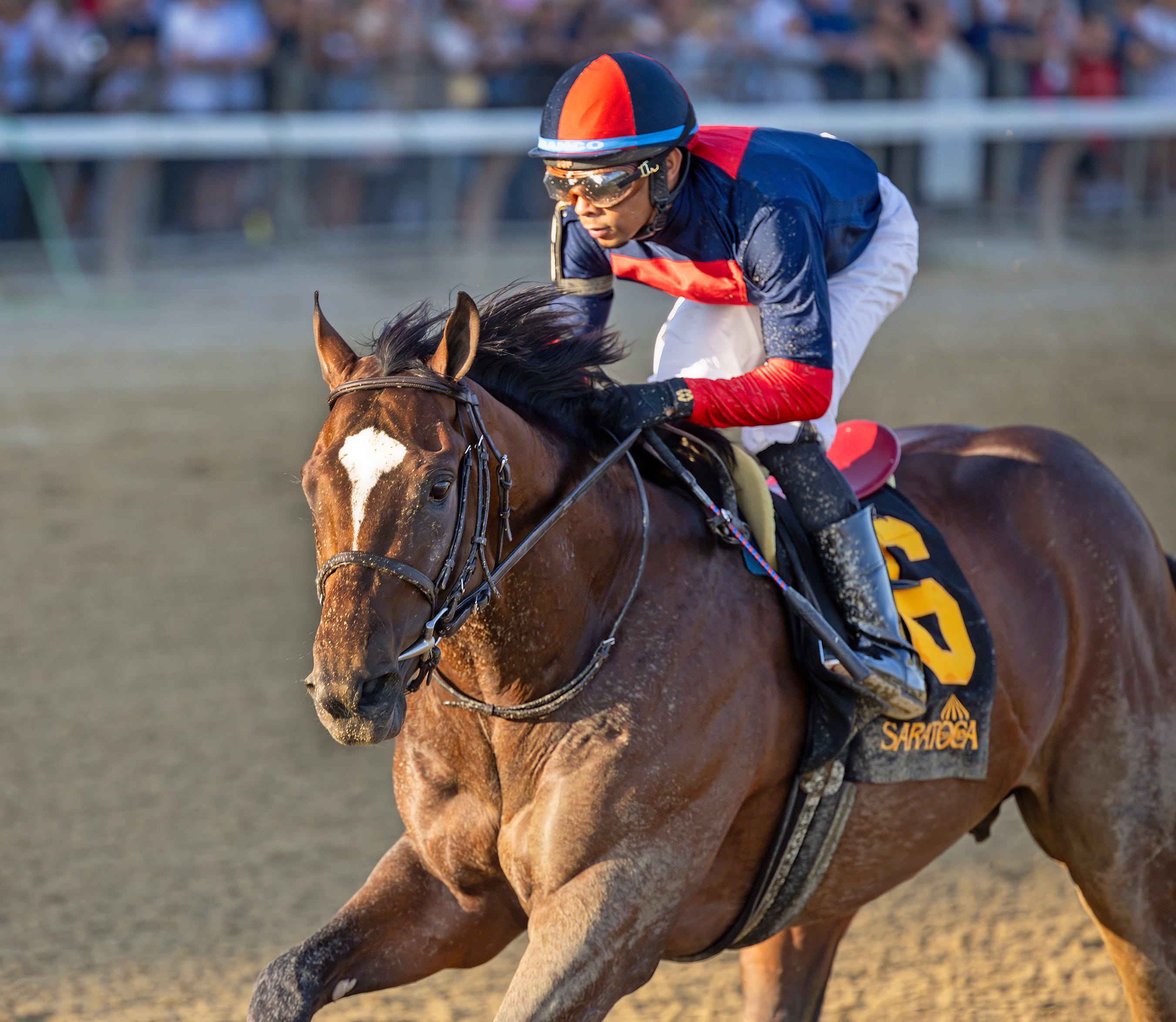 Drake's Passage shows he likes the distance with Albany Stakes victory