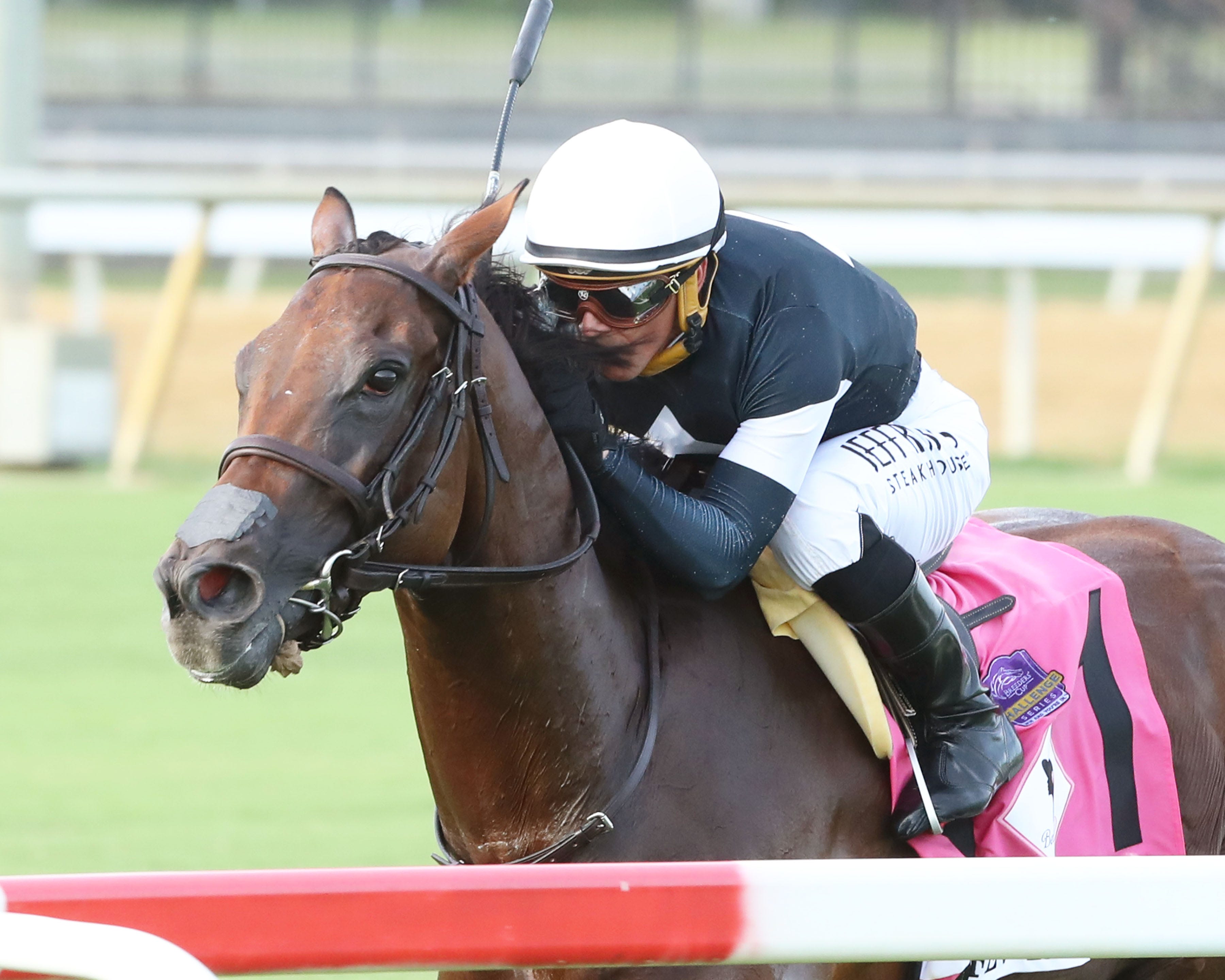 Fev Rover has little trouble winning Beverly D. Stakes