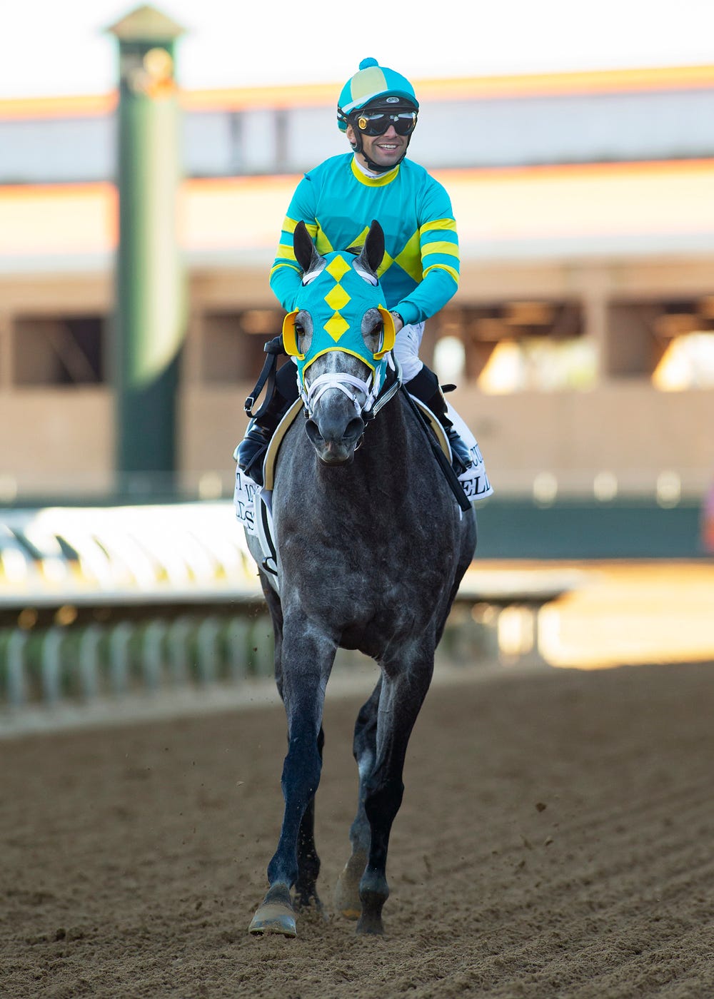 Consistent Field Pass looks to get back on track in Find Stakes