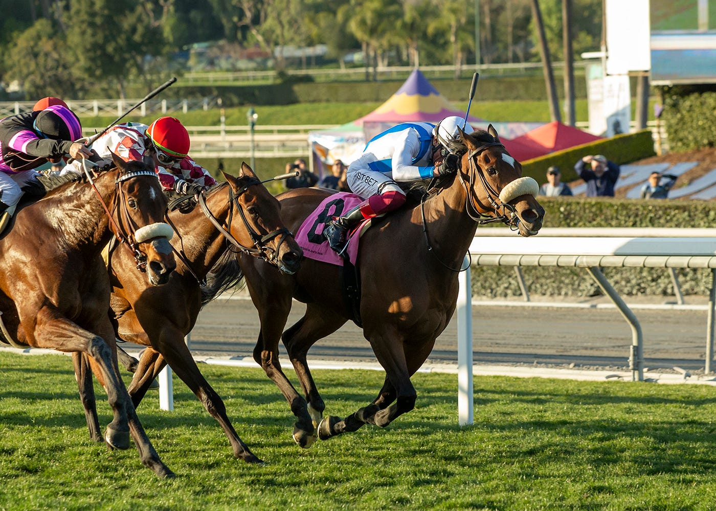 Freedom Flyer should enjoy cutback in sprint