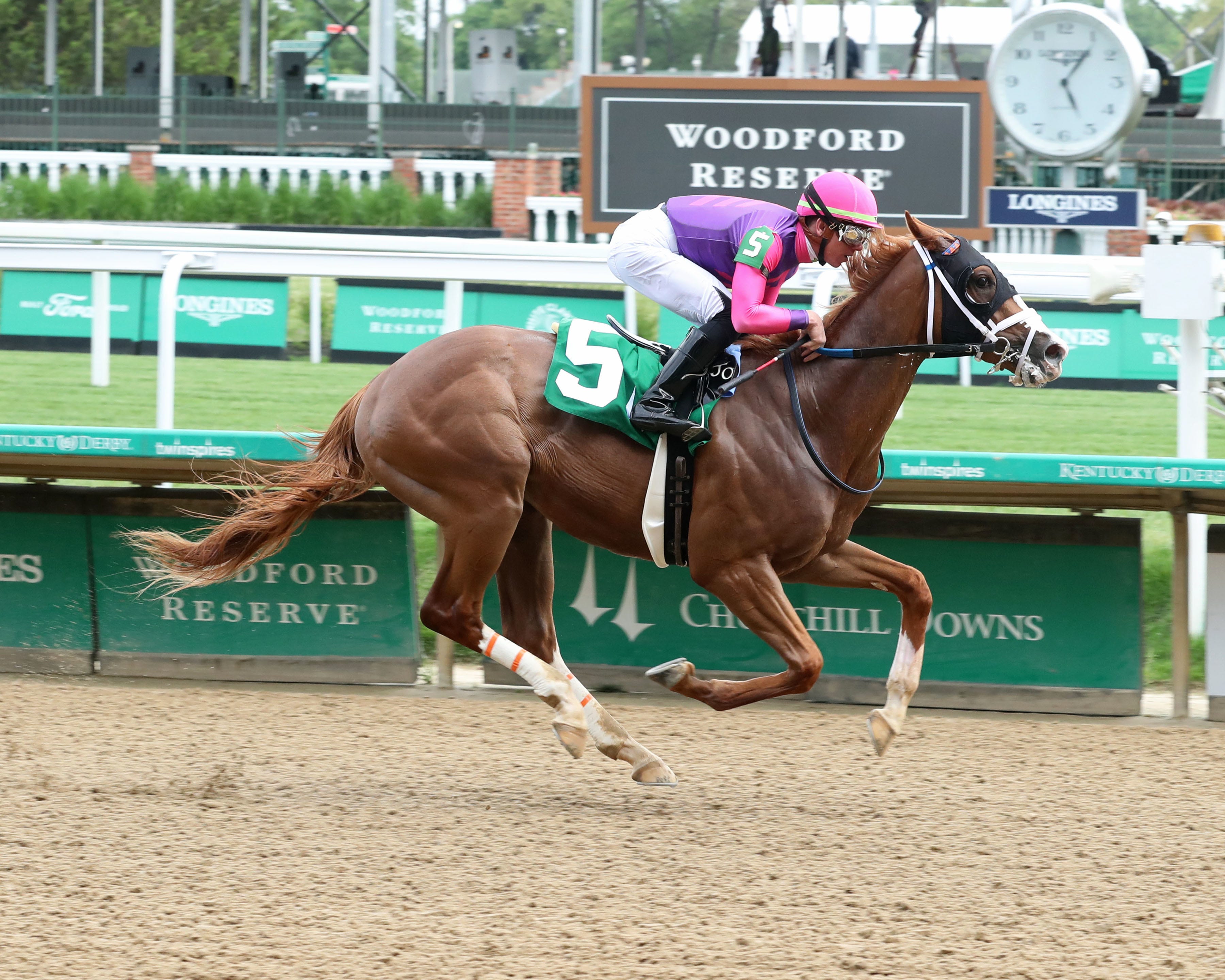 Frosty the Giant tries Timonium Juvenile as first-time gelding
