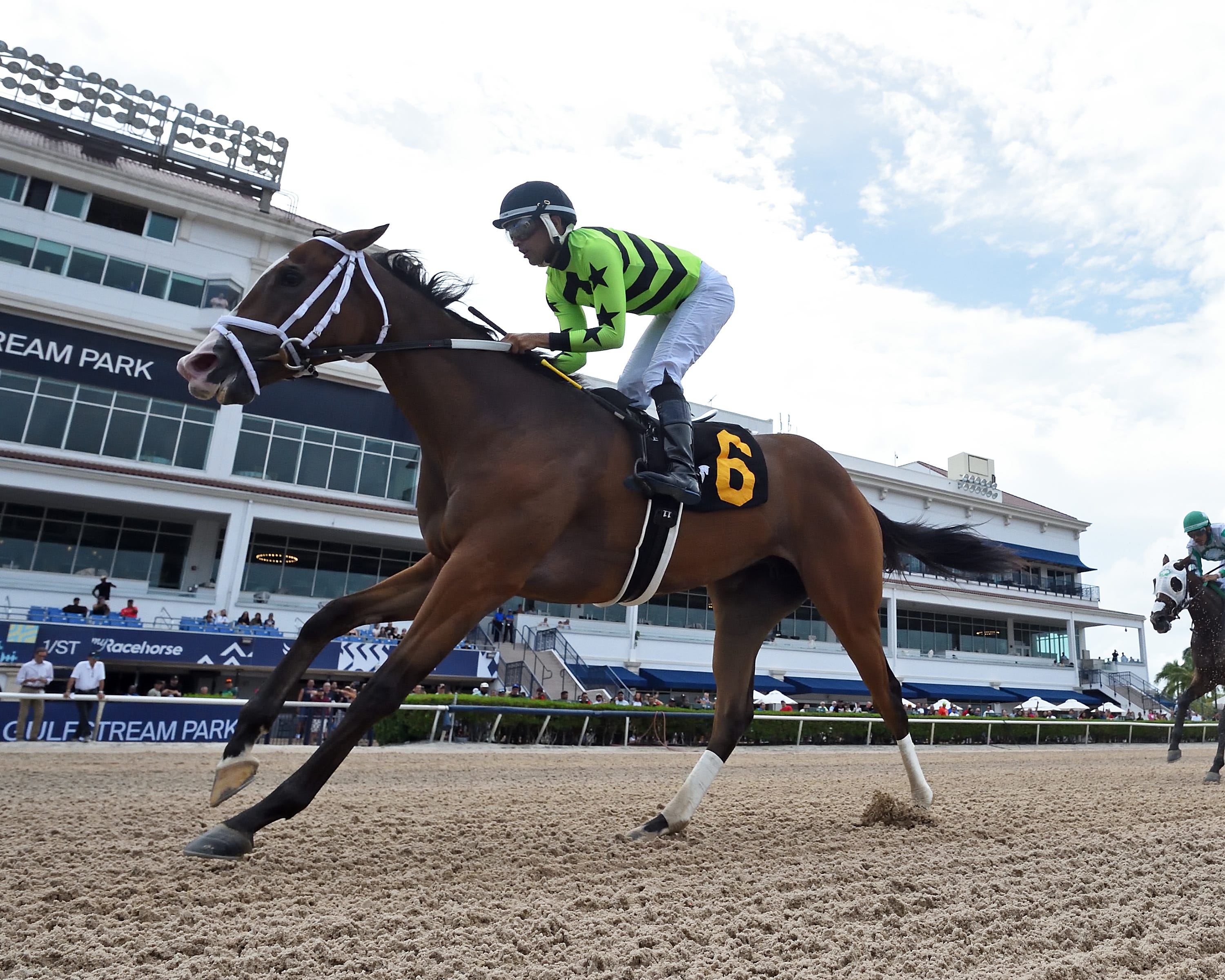 Let Them Watch surges in Sharp Susan