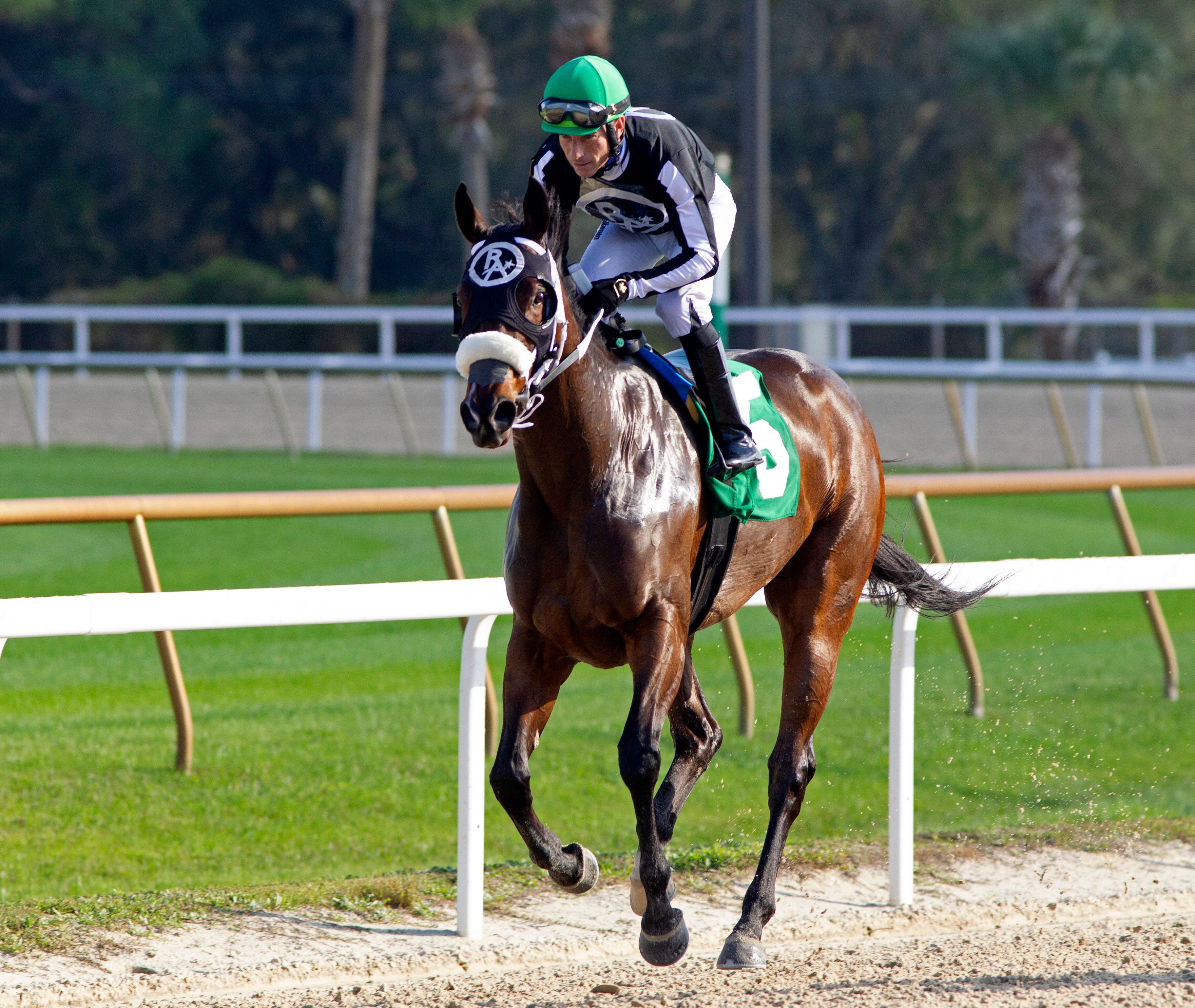 Rainbow 6 pool at Gulfstream expected to reach $1.5 million