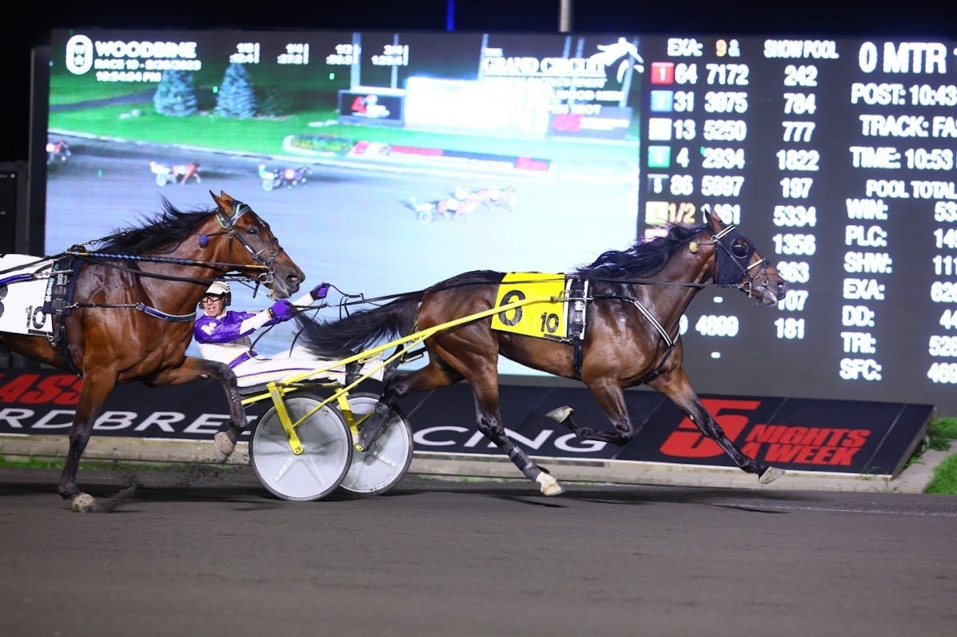 Harness: Wellwood champ T C I leads talented fields in PaSS finals