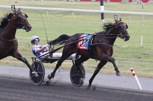 Meadowlands: Tactical Approach rides the rail to Hambletonian glory