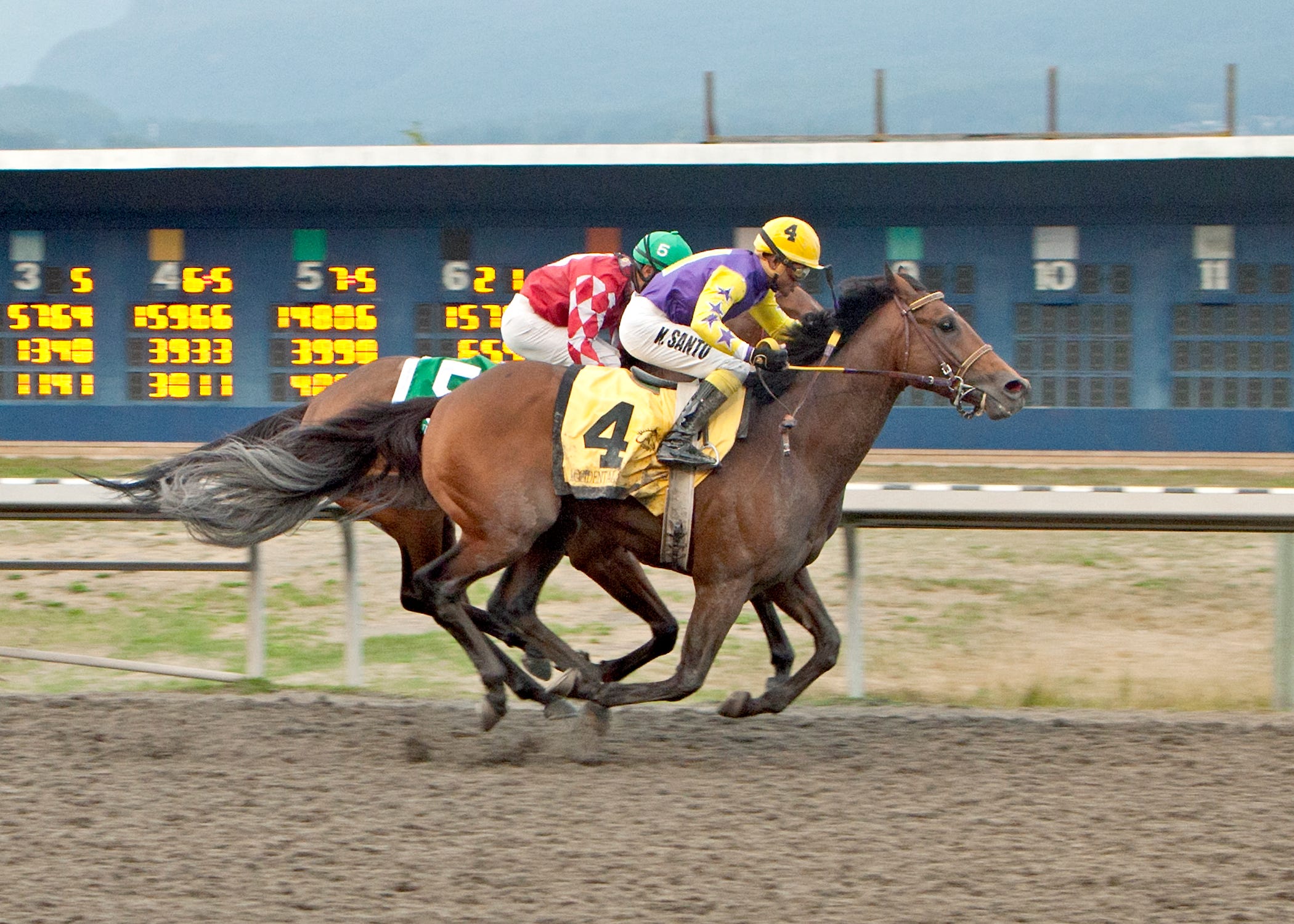 Accidental Hero outlasts Sunbird in British Columbia Derby