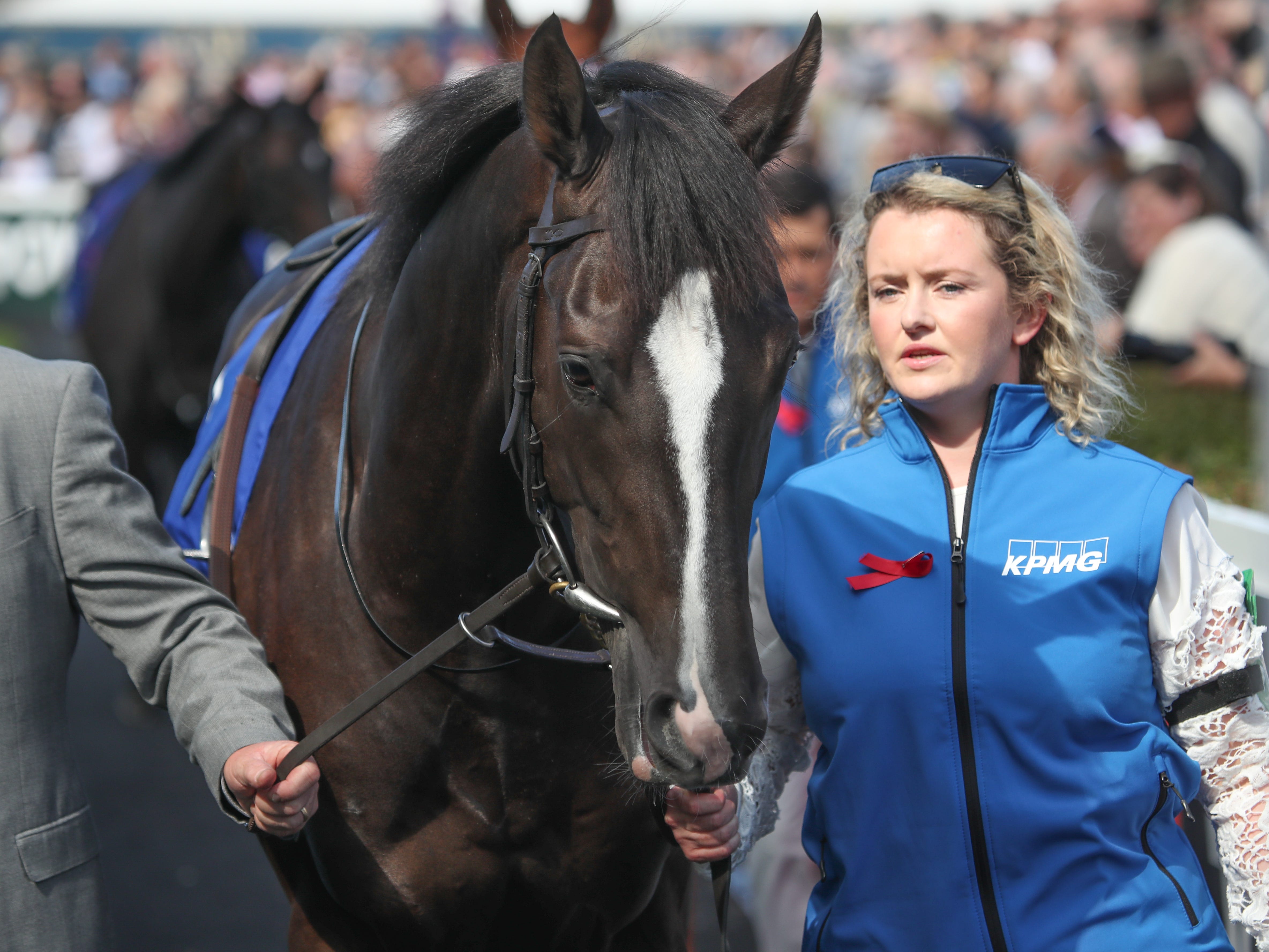 Auguste Rodin, King of Steel clash again in Irish Champion Stakes