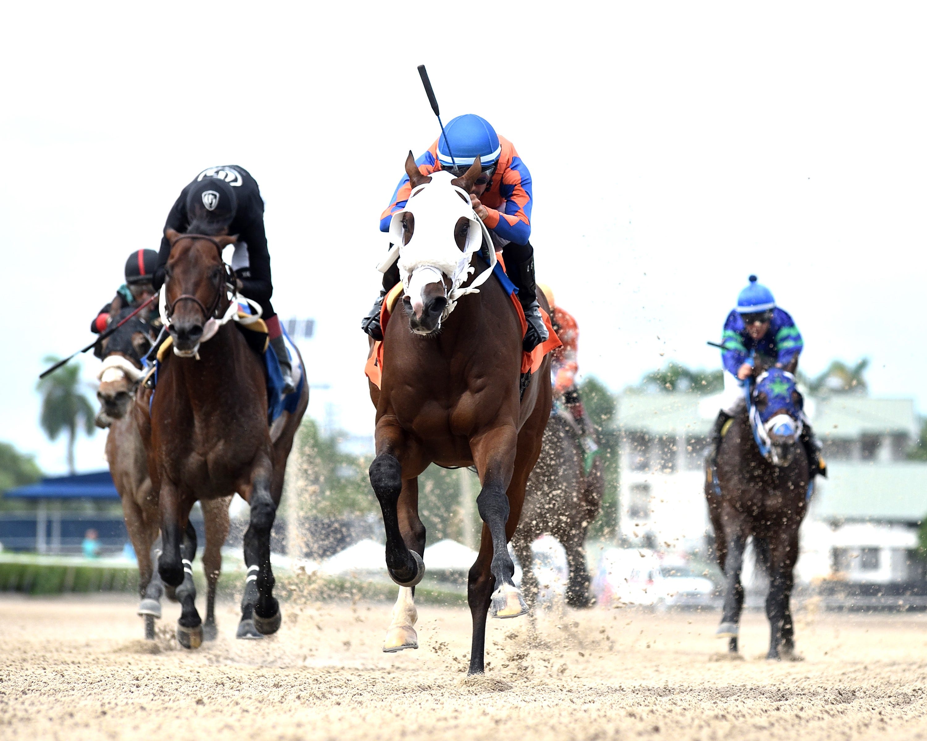 Big and Classy wins eighth race of the year in Jackson Bend Handicap