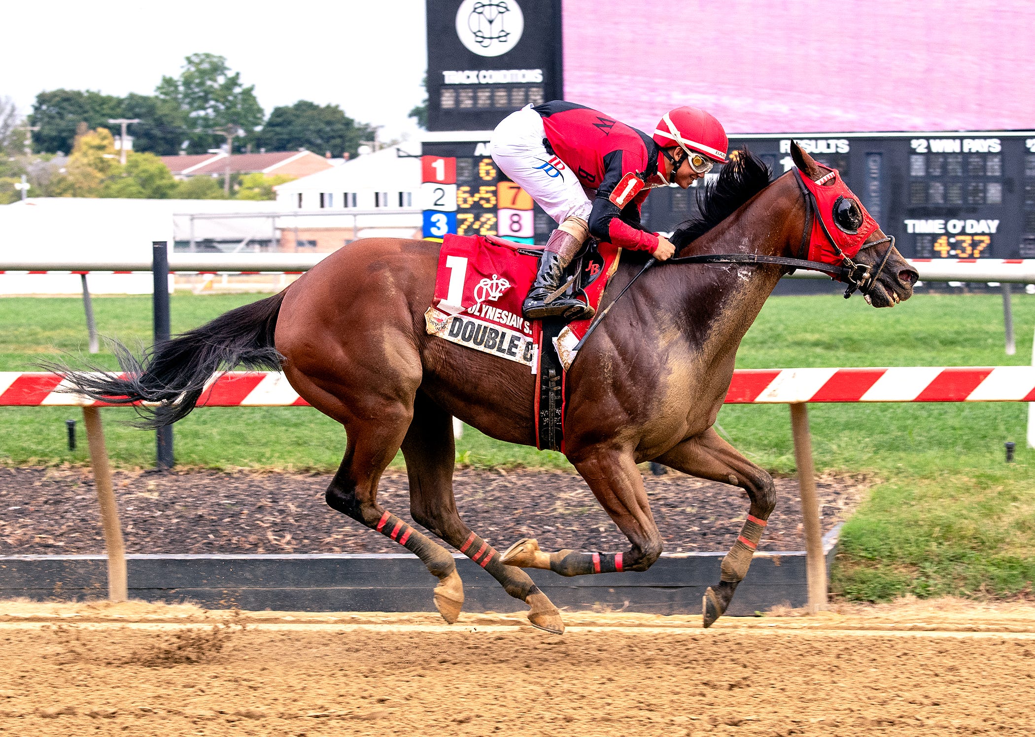 Double Crown rallies to take Polynesian