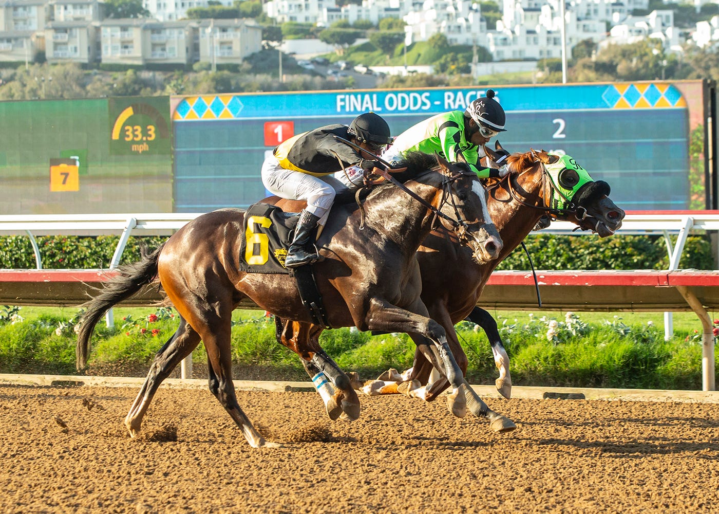 Dr. No No holds off late challenge in I’m Smokin Stakes