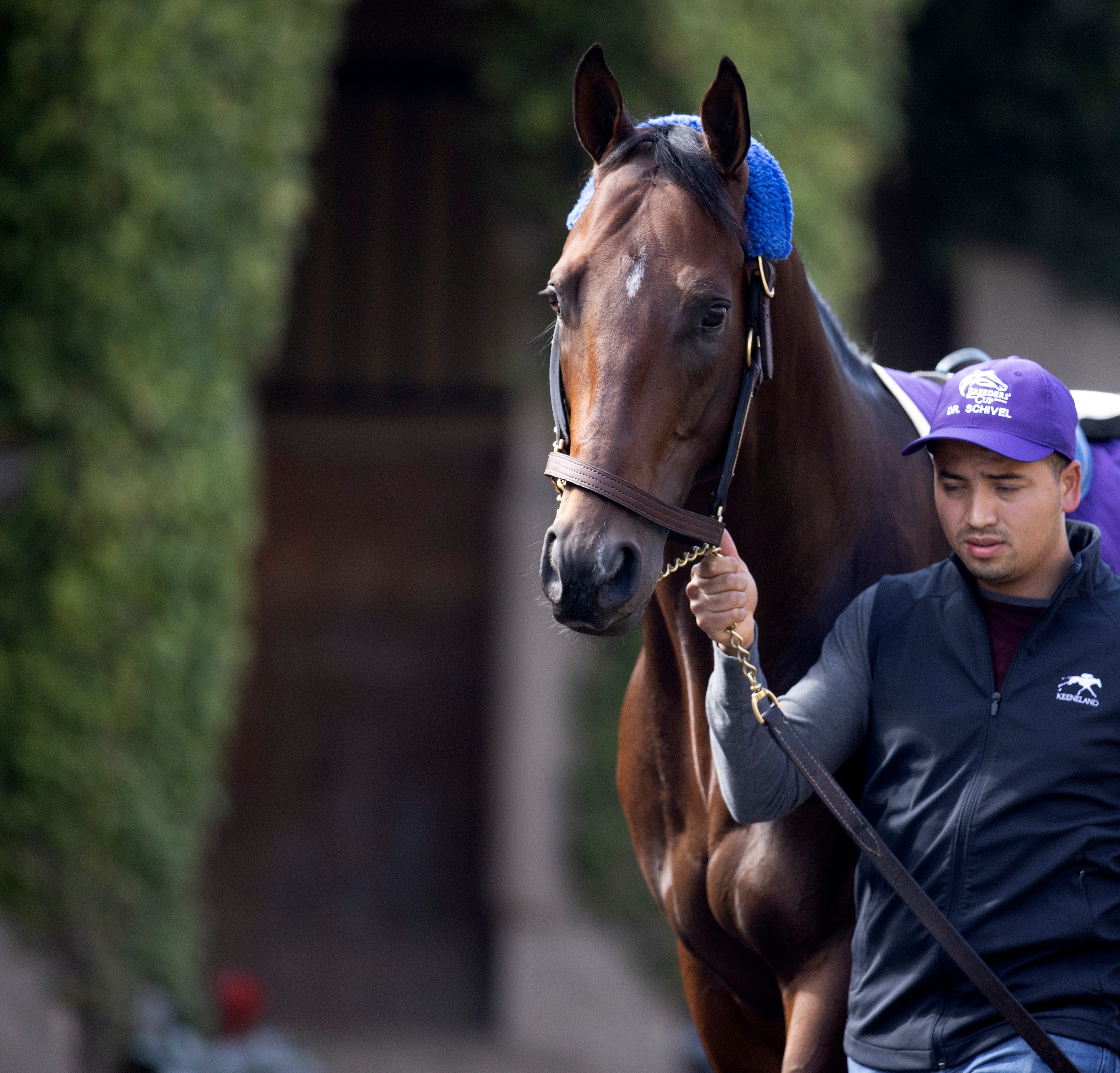 Dr. Schivel primed for big effort in Santa Anita Sprint Championship