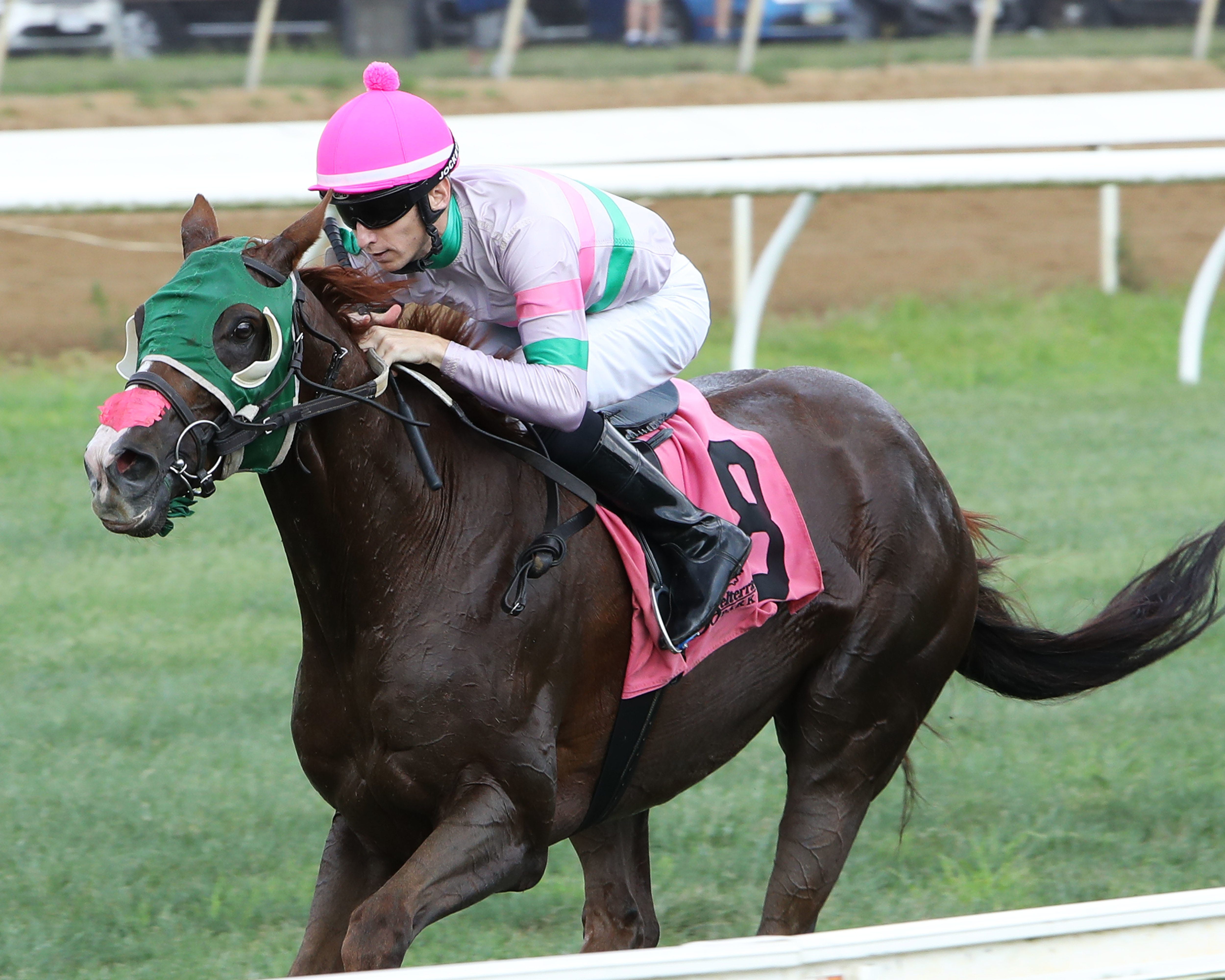 Dr. Zarnett looks to continue strong season in Catlaunch Stakes