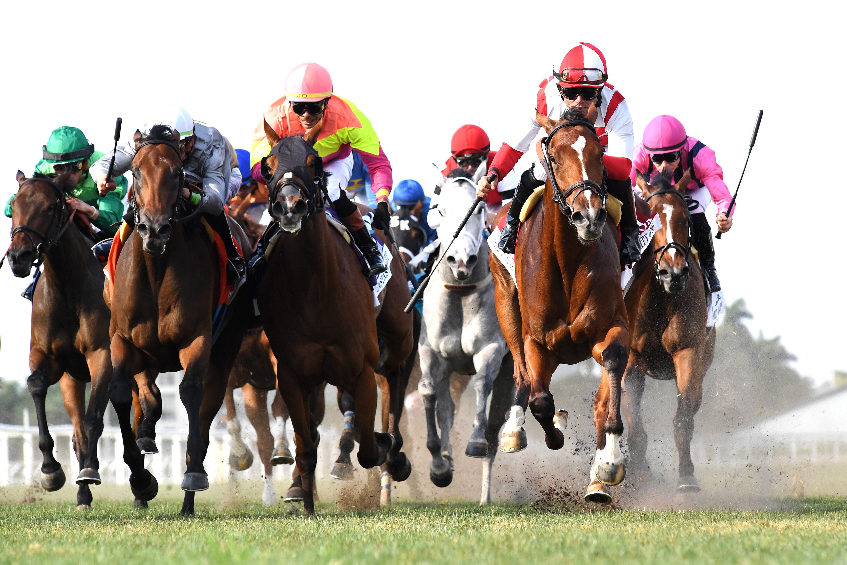 Faith in Humanity has won following a long layoff before