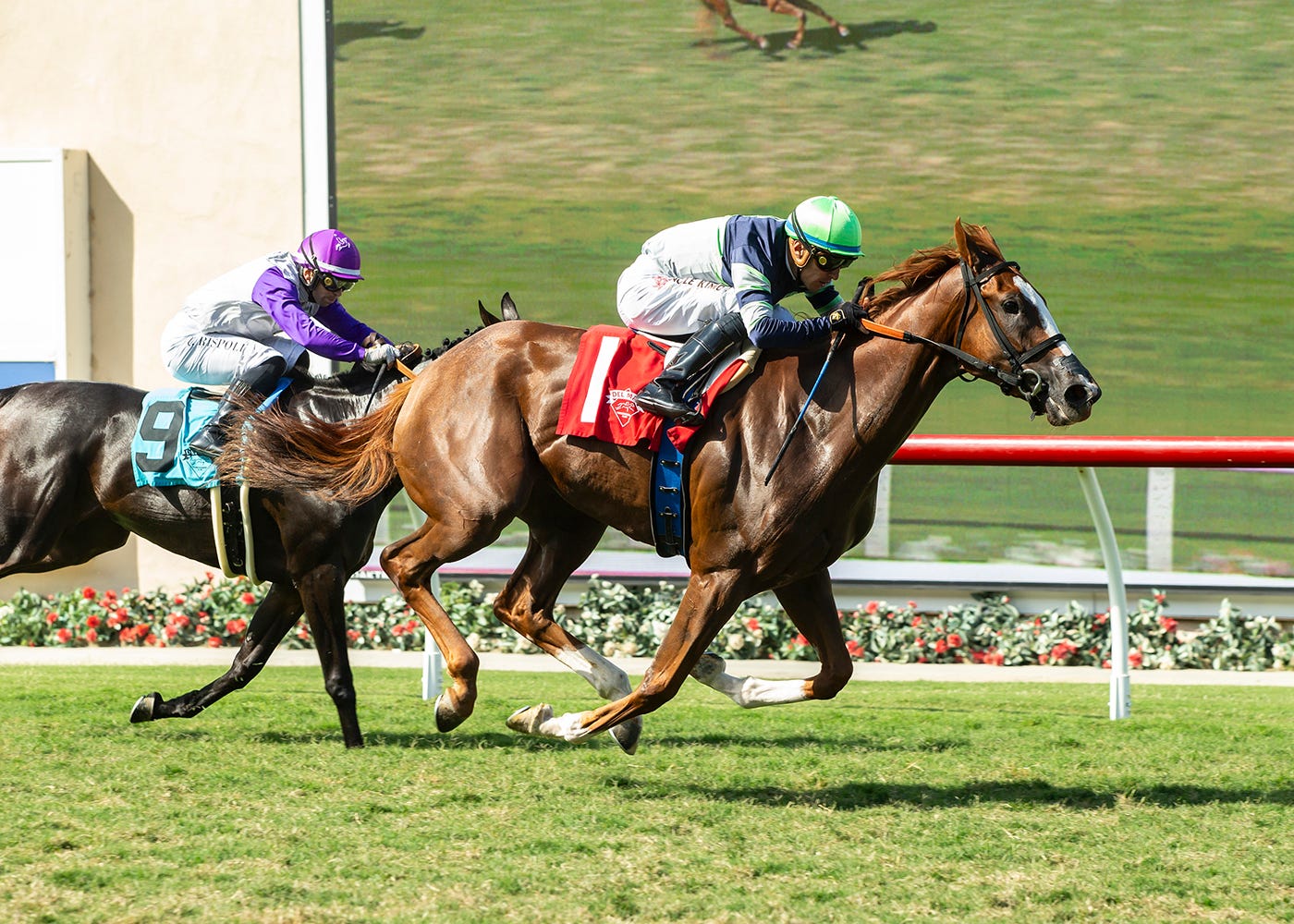 Flattery remains unbeaten, takes Juvenile Fillies Turf