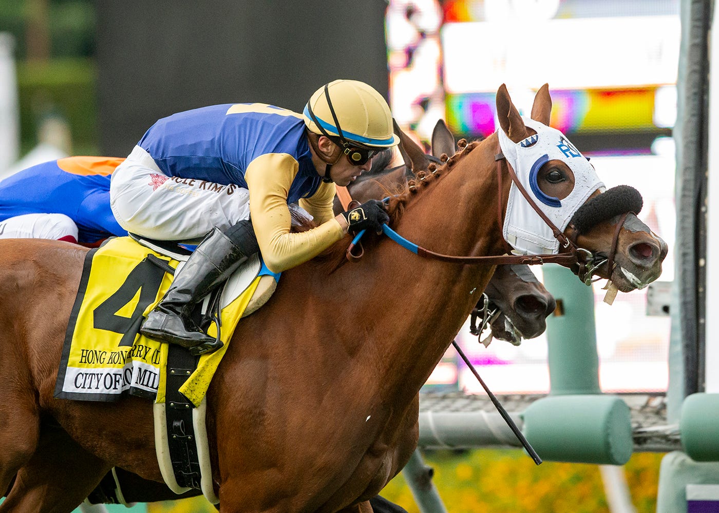 Hong Kong Harry back to winning form in City of Hope Mile