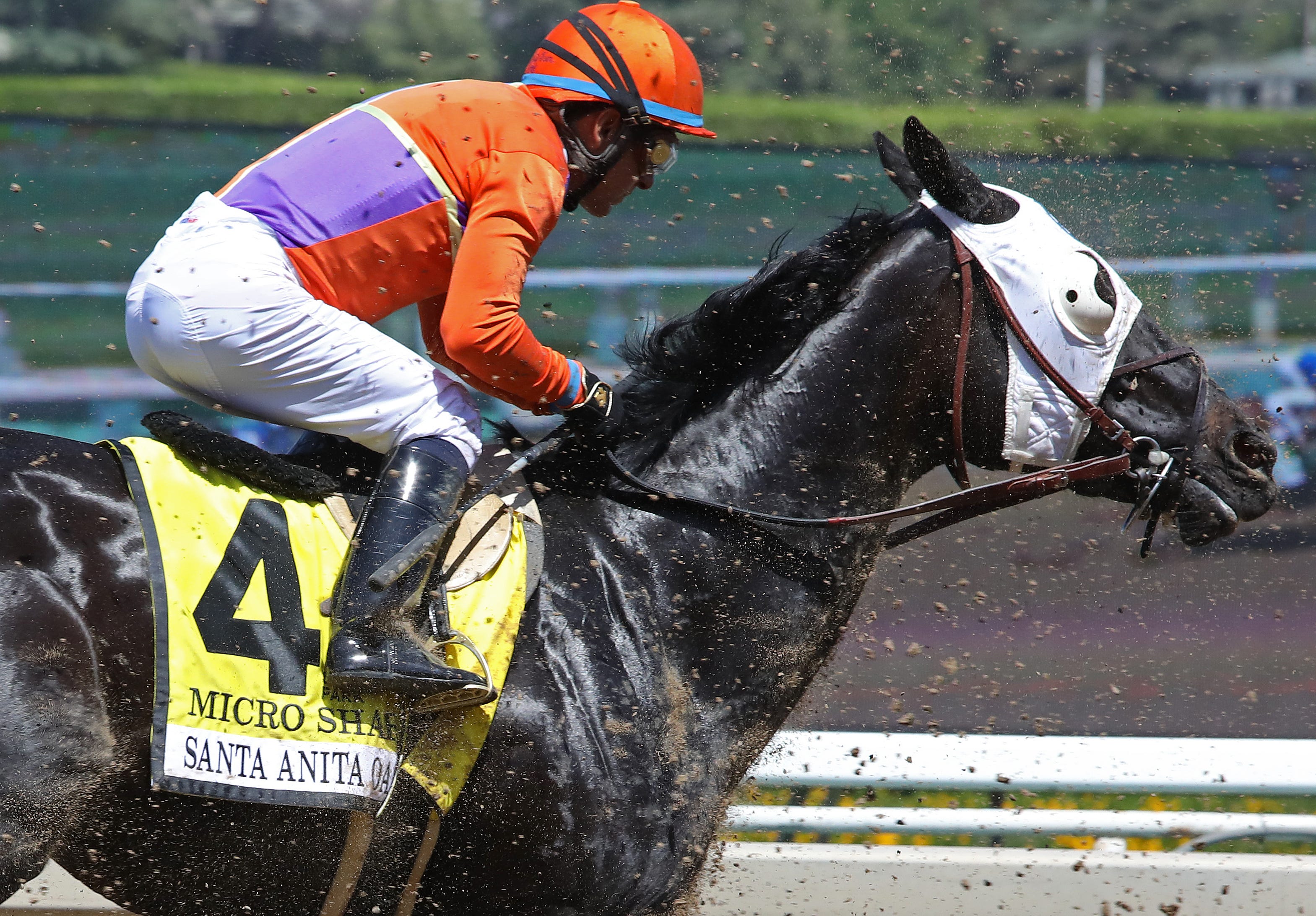 Micro Share gets class test in Tranquility Lake Stakes