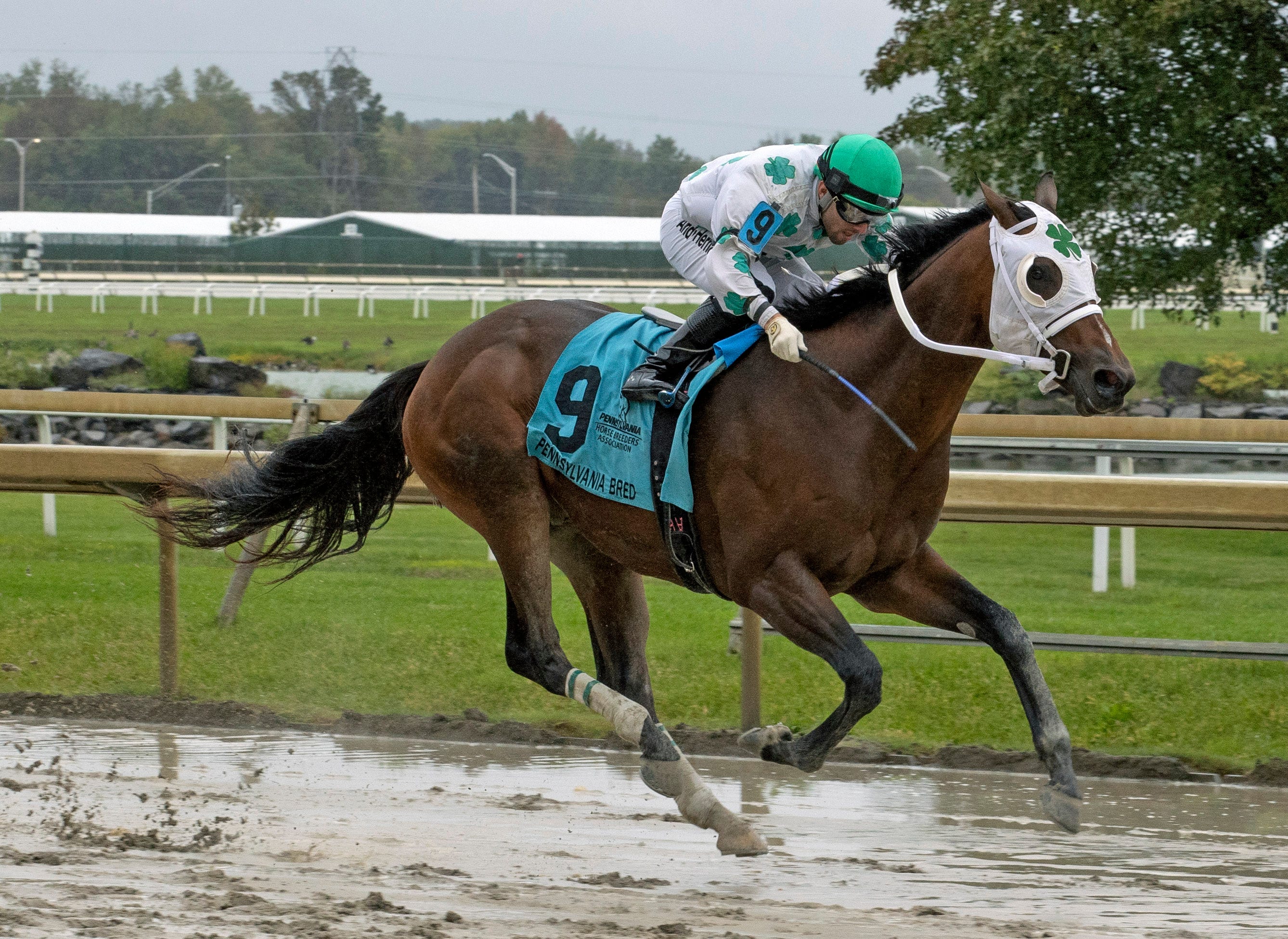 Notice of Action gives trainer Hawthorne first stakes win with Prince Lucky