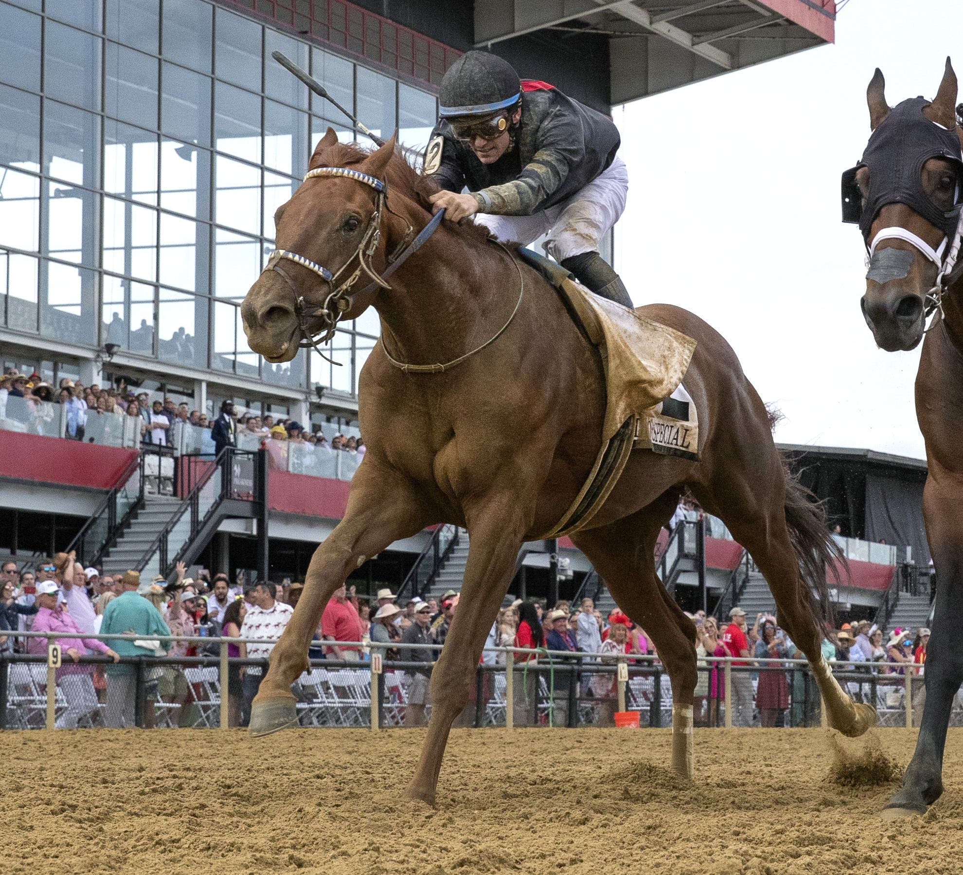 Rattle N Roll, Americanrevolution need to step it up in Lukas Classic