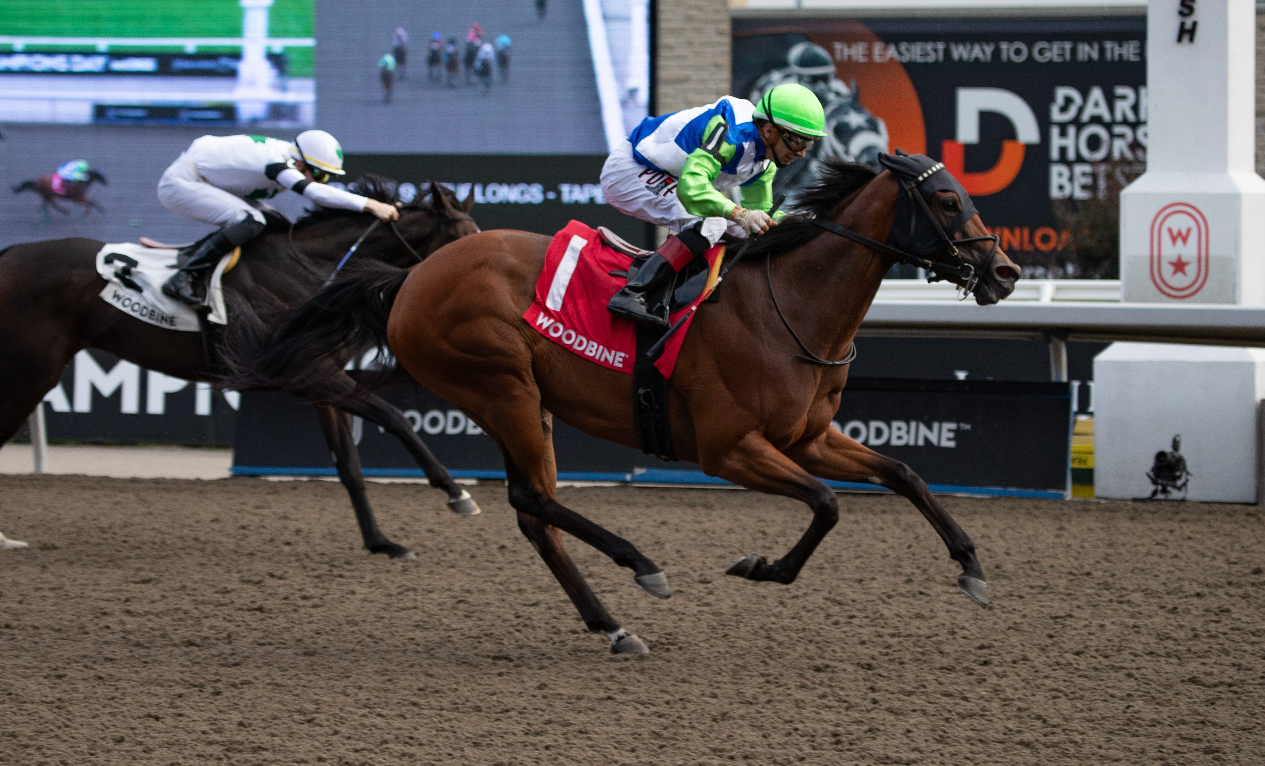 Ready To Venture gives Lael Stables solid weekend with Seaway triumph