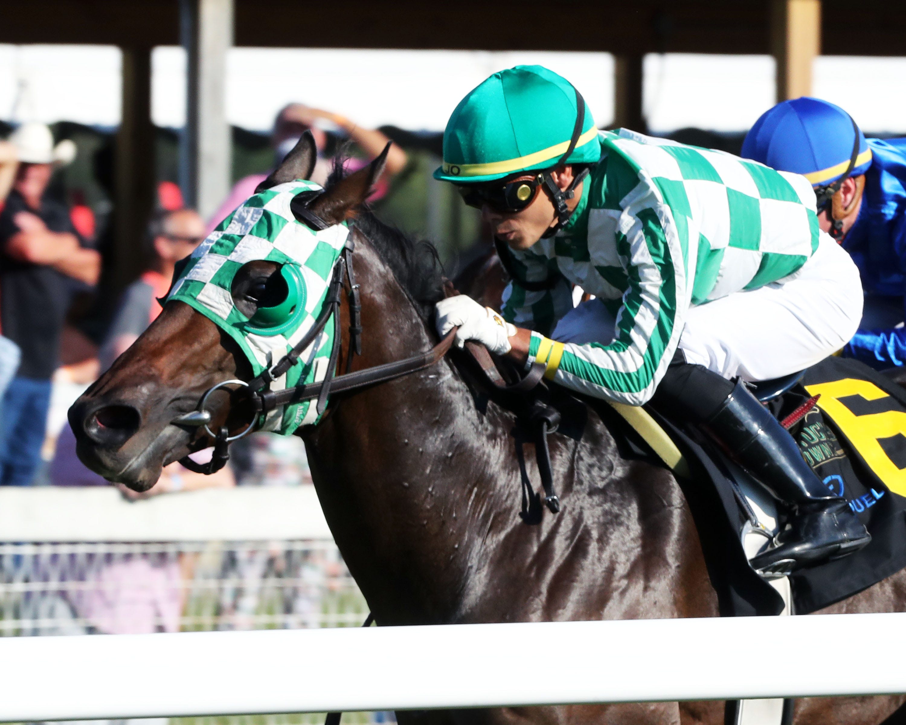 Talk of the Nation surges to take Gun Runner Stakes