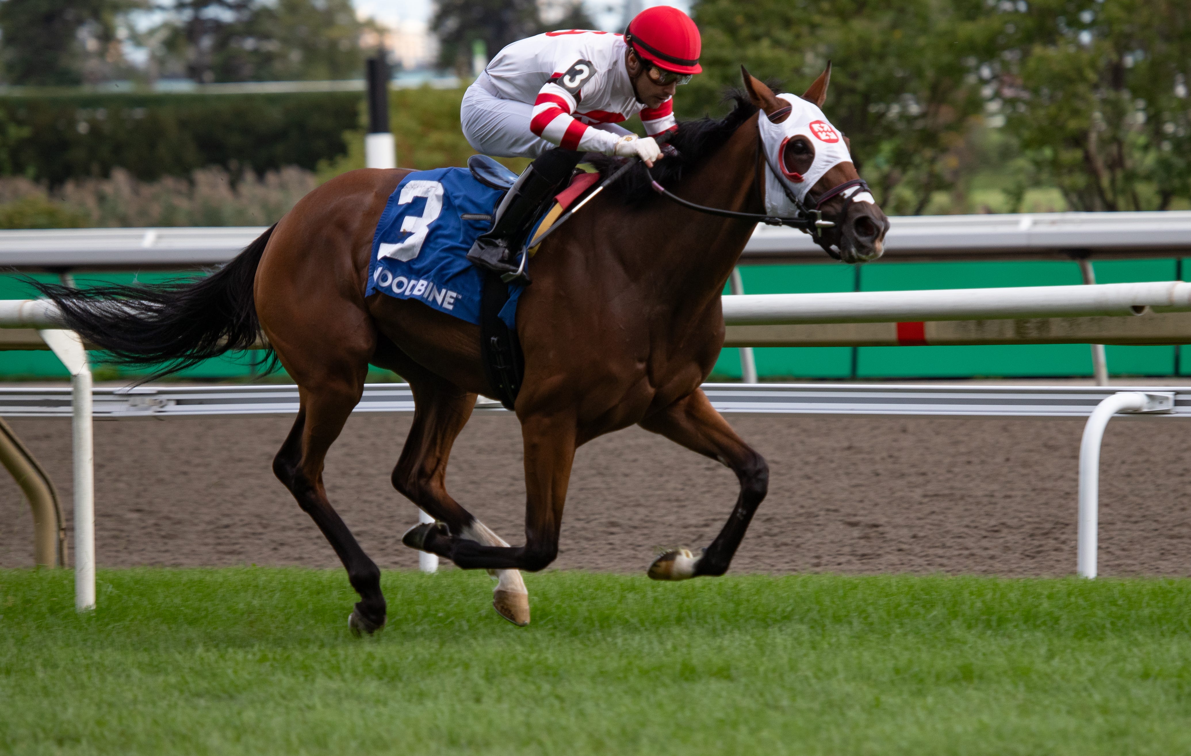 Tito's Calling takes Wonder Where; Sacred Dancer wins Zadracarta