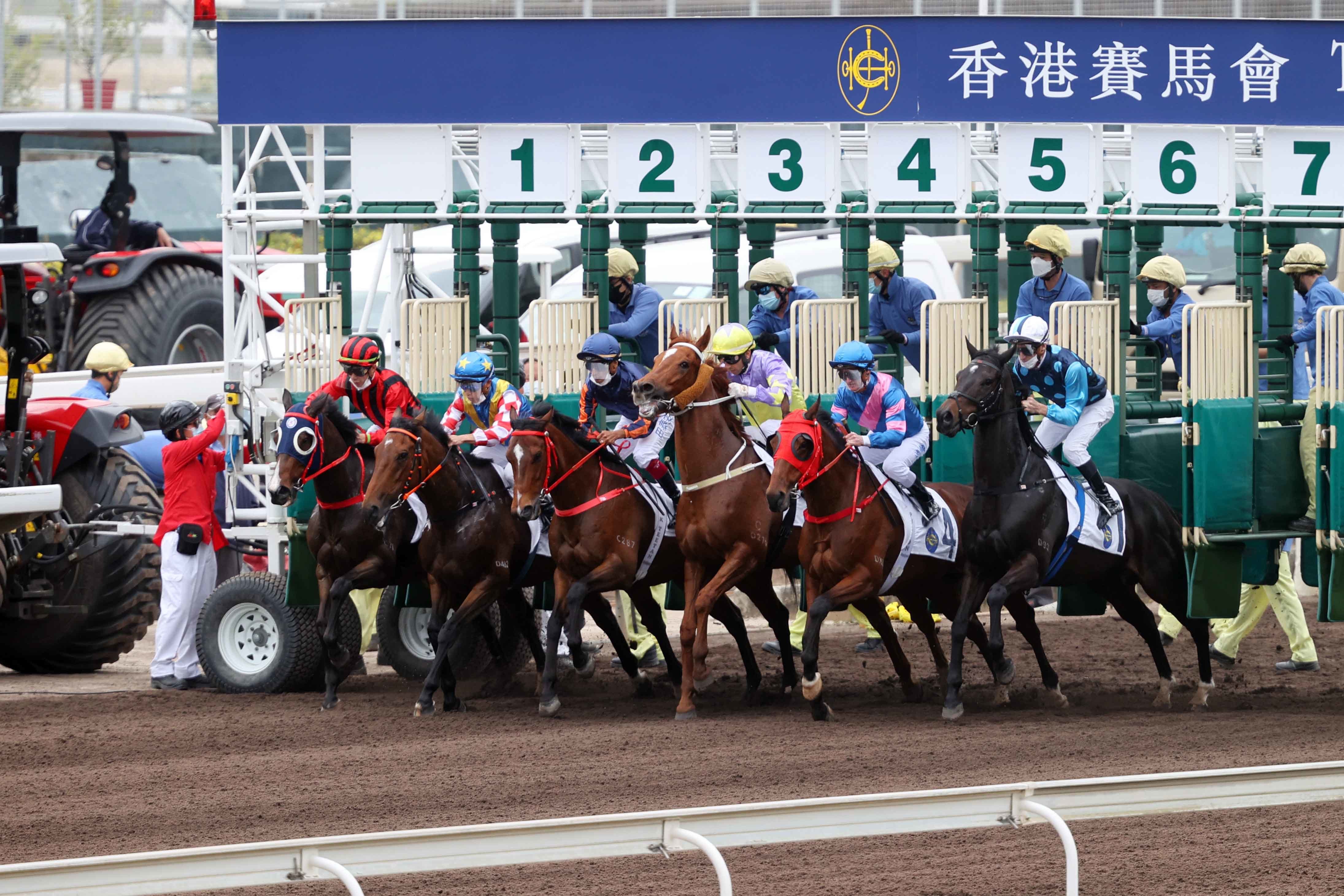 Luke Middlebrook's Hong Kong Selections and Analysis for Wednesday ...